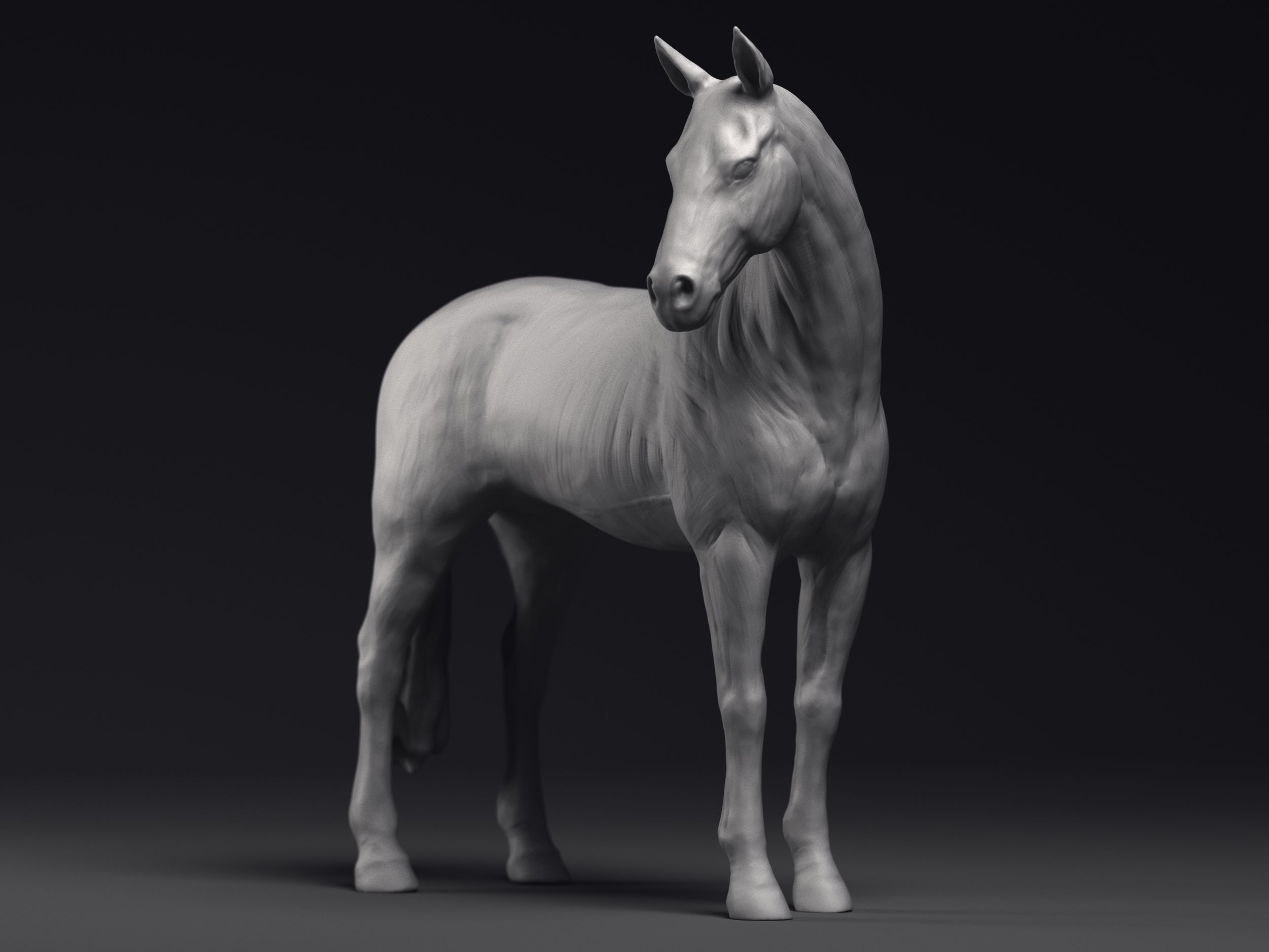 Study of a Horse Printable 3D Model 3D model 3D printable | CGTrader
