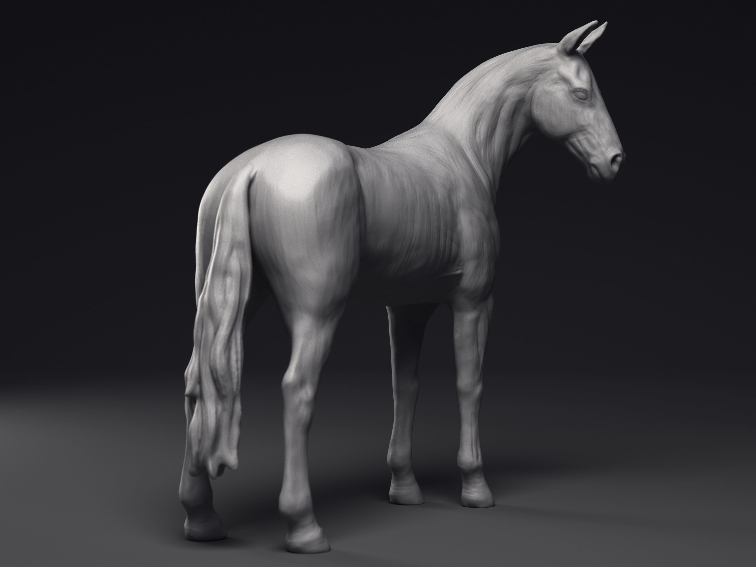Study of a Horse Printable 3D Model 3D model 3D printable | CGTrader