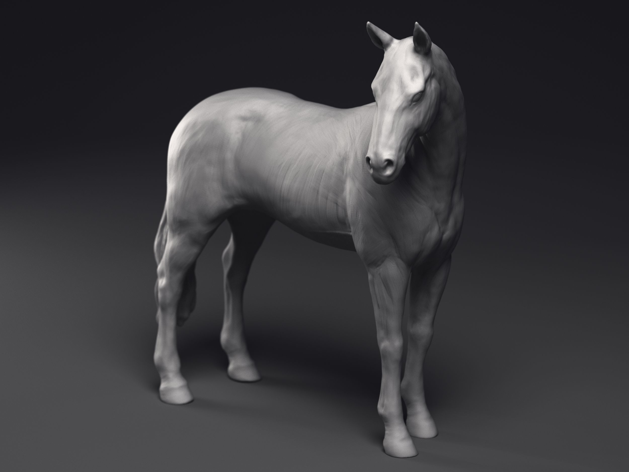 Study of a Horse Printable 3D Model 3D model 3D printable | CGTrader