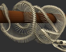 Python snake 3D Print Models | CGTrader