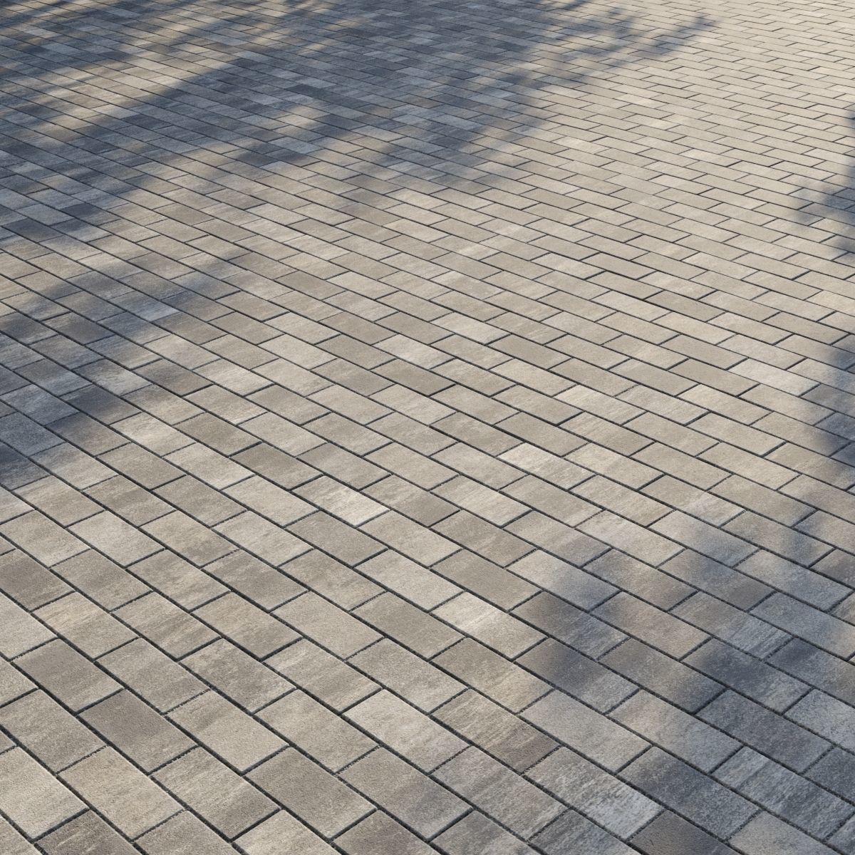 Paving Type 2 Set 3 Texture | CGTrader