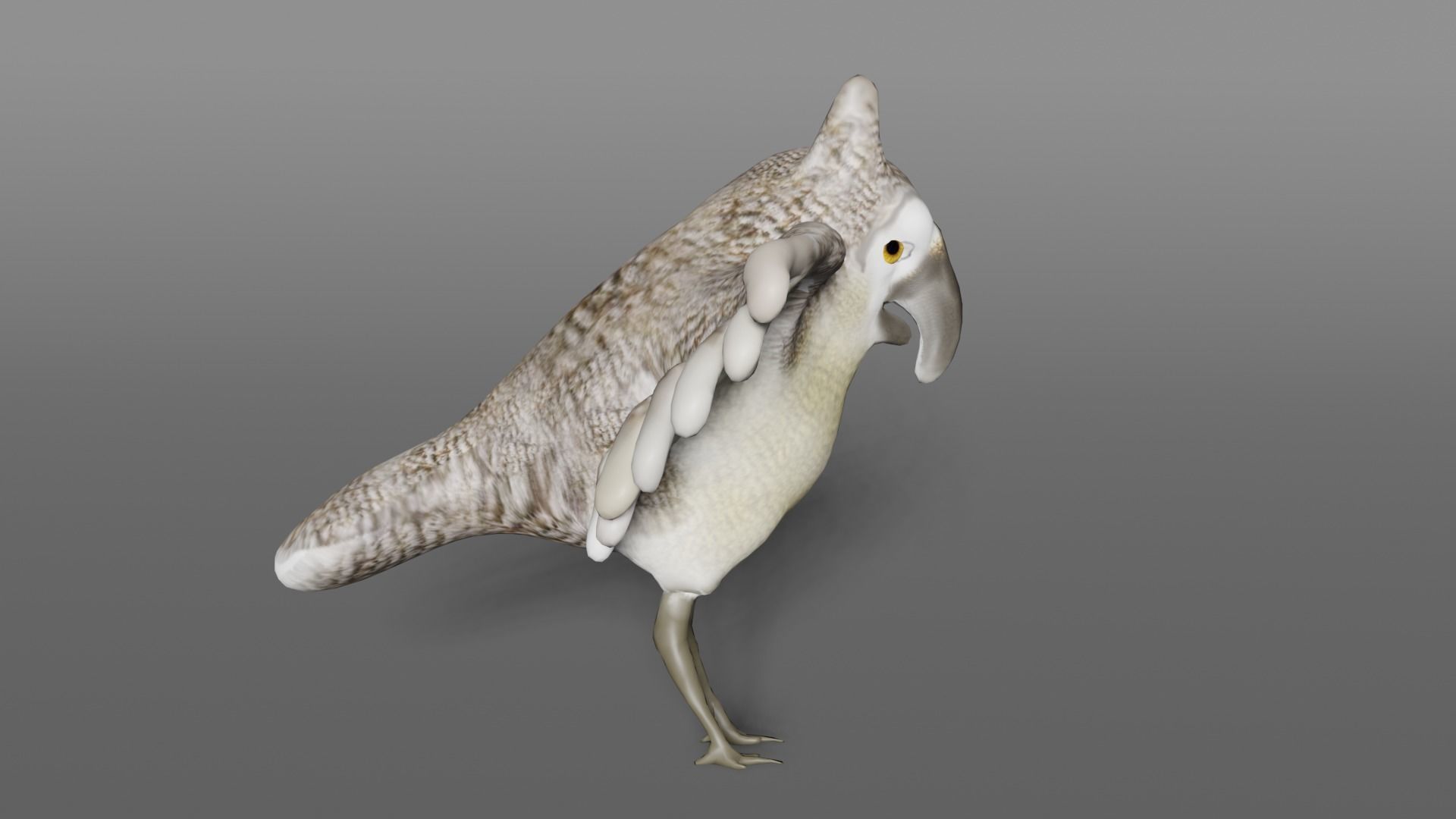 3D model owlet animated VR / AR / low-poly | CGTrader