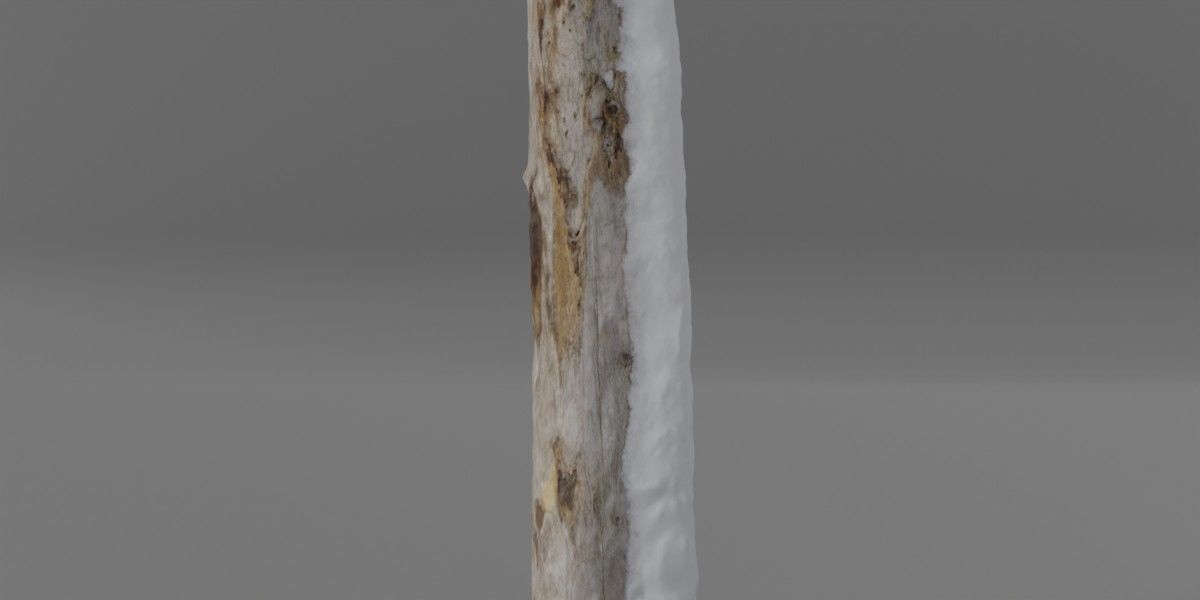 3D model Photorealistic Wooden Post VR / AR / low-poly | CGTrader