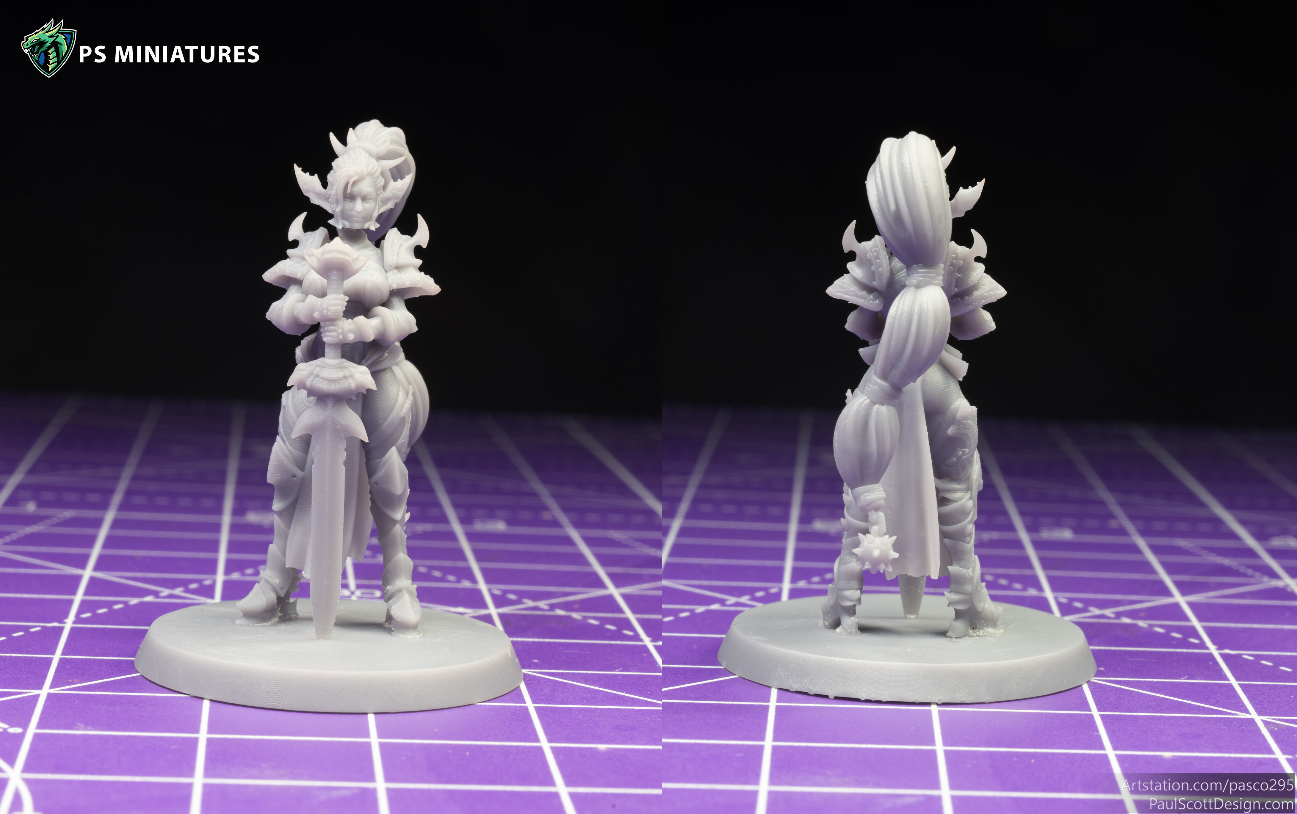 Drow Legionnaire Bundle - 4 Variants and Pinup Per Model 3D model 3D ...