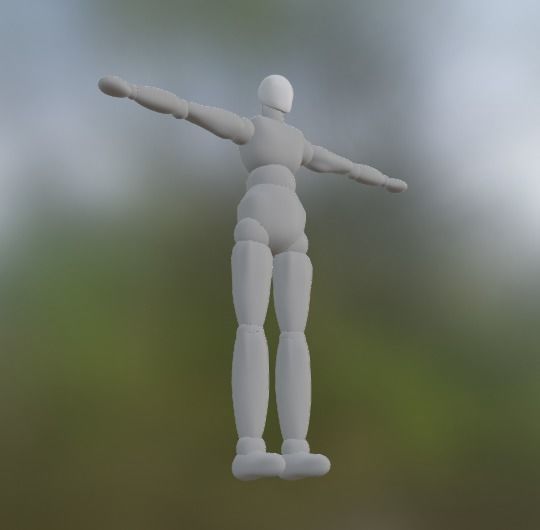 Basic Human Mannequin 3D model | CGTrader