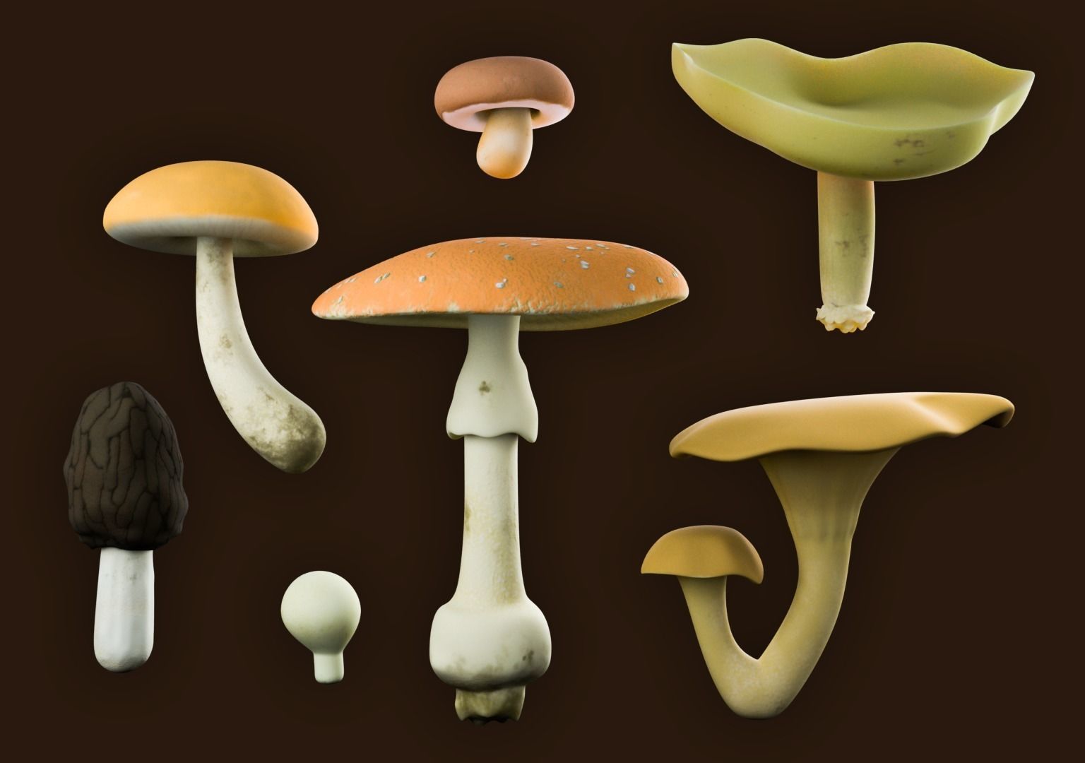 Fungi Pack - Textured 3D model | CGTrader
