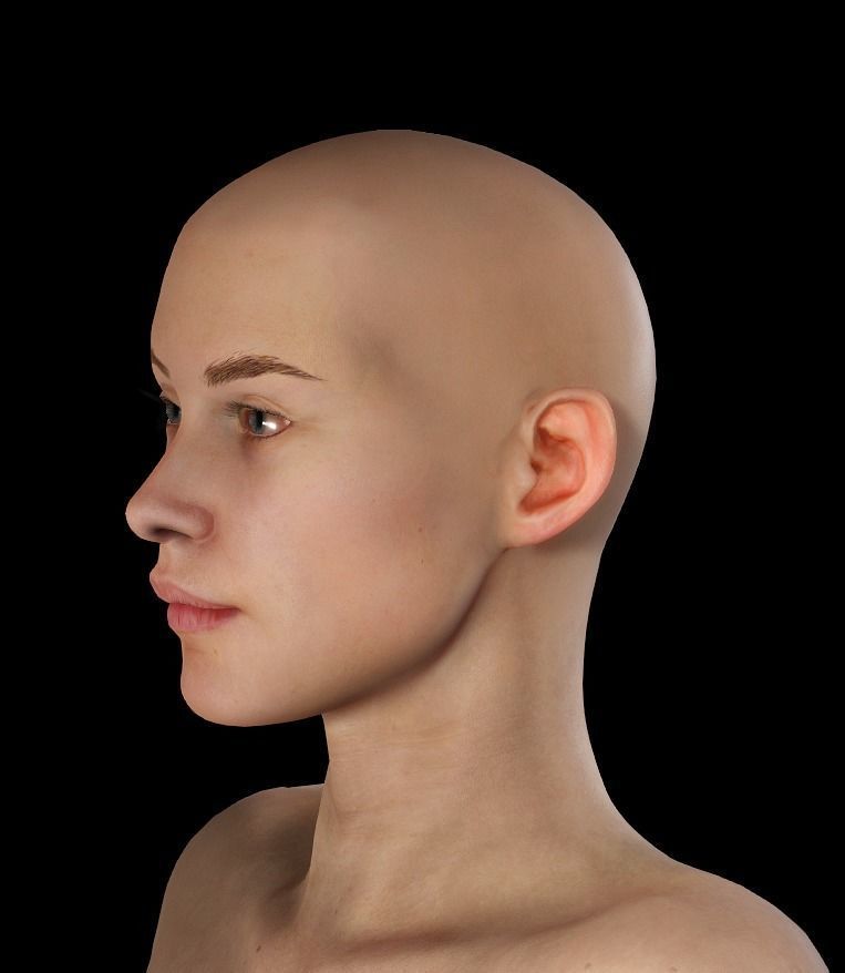 3D model Realistic Female Human Rigged Low-poly 3D model VR / AR / low ...
