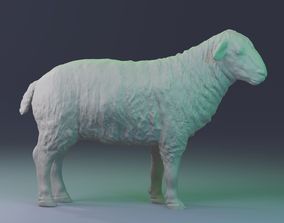 Sheep 3D Printing Models | CGTrader