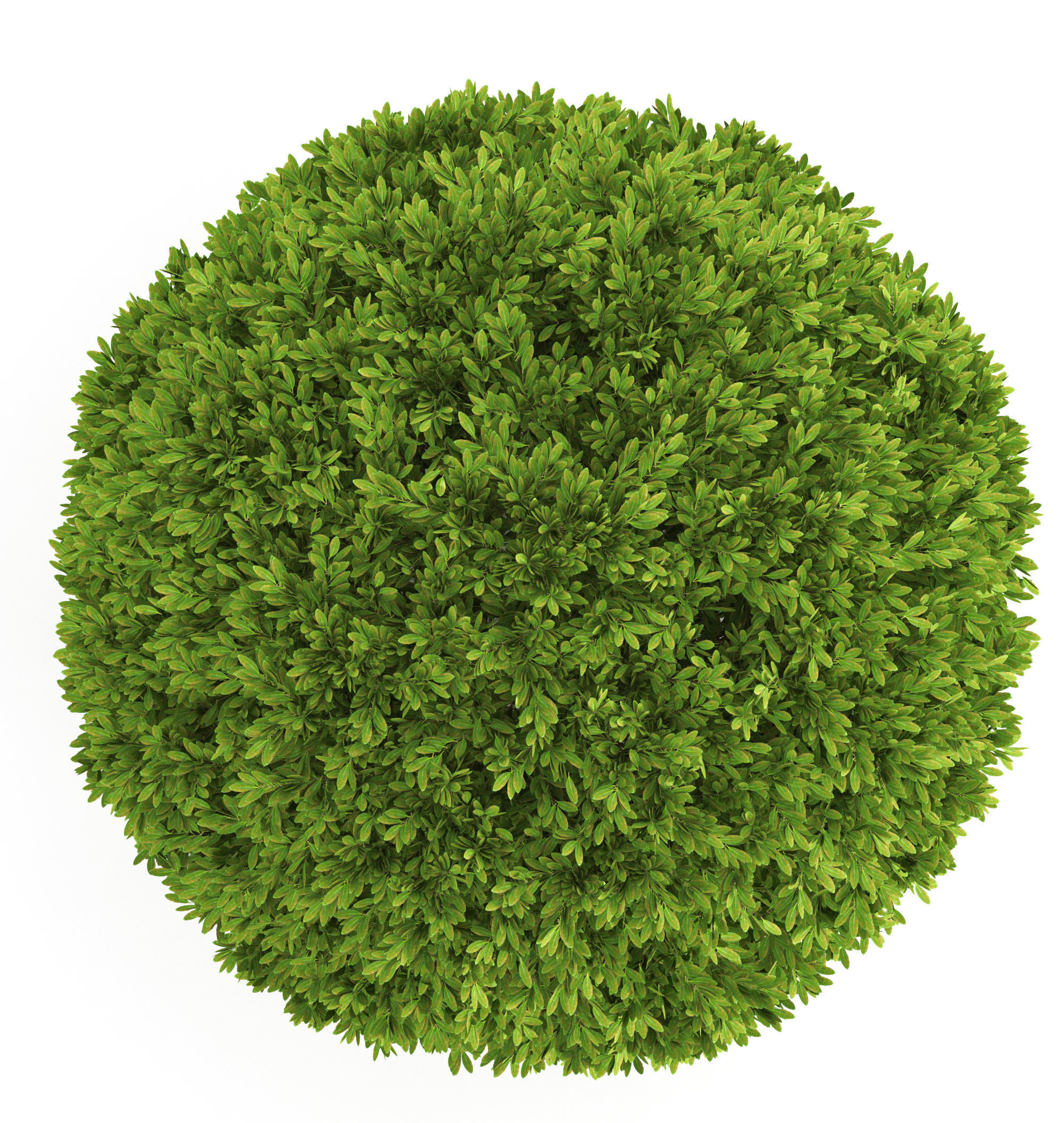 Spherical Bushes 3D model | CGTrader