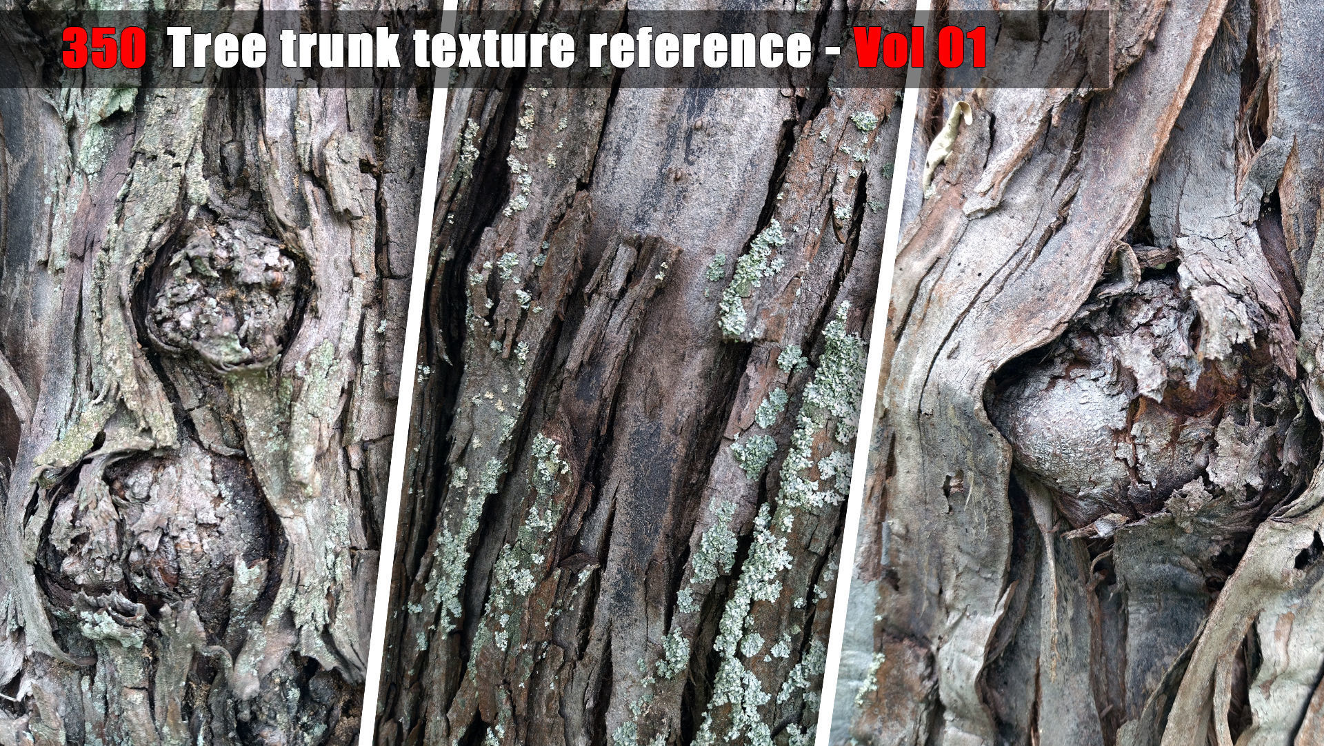 Tree trunk texture reference - Vol 01 3D model | CGTrader