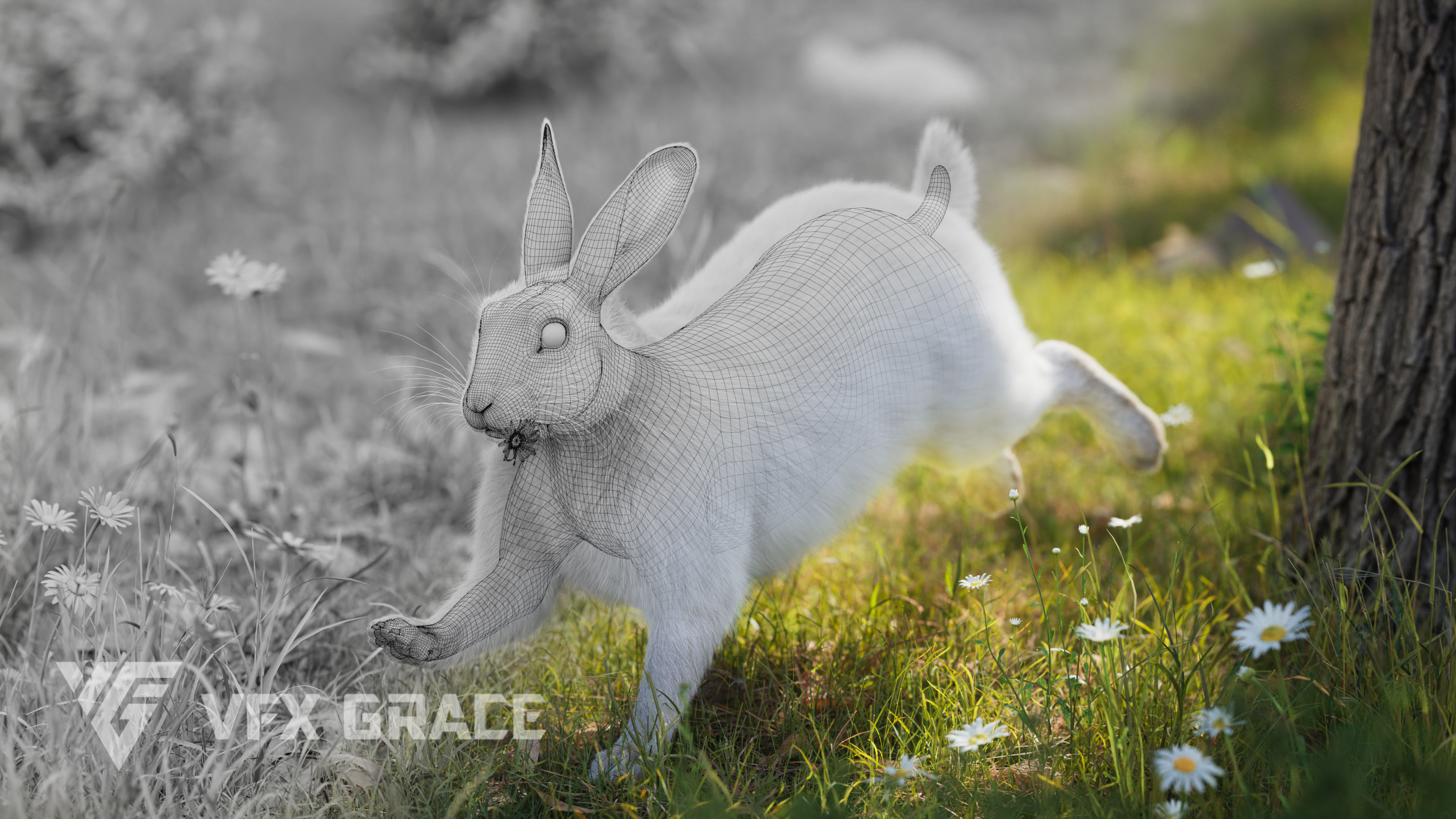 White rabbit Animated VFX Grace 3D model animated rigged | CGTrader