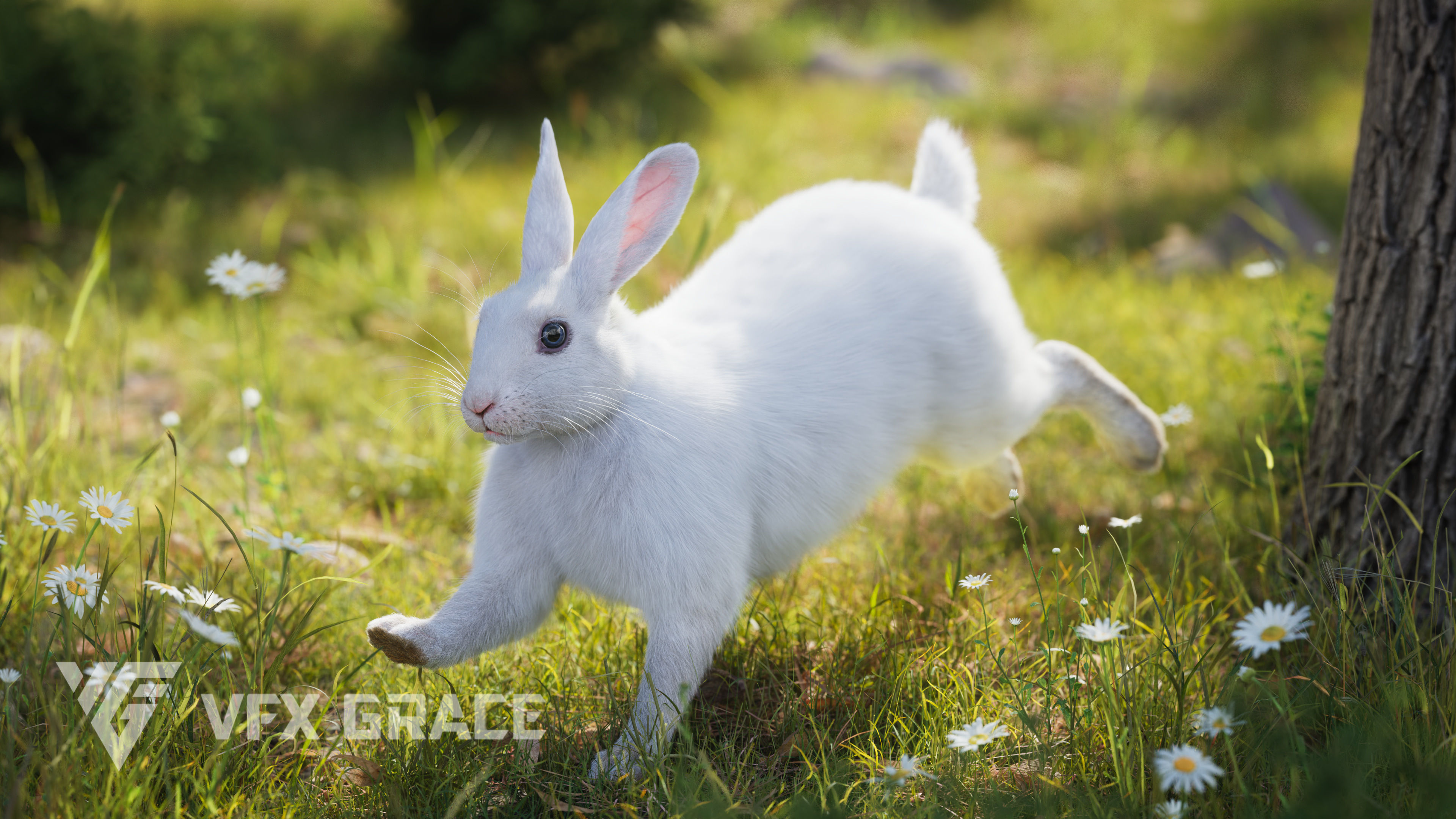 White rabbit Animated VFX Grace 3D model animated rigged | CGTrader