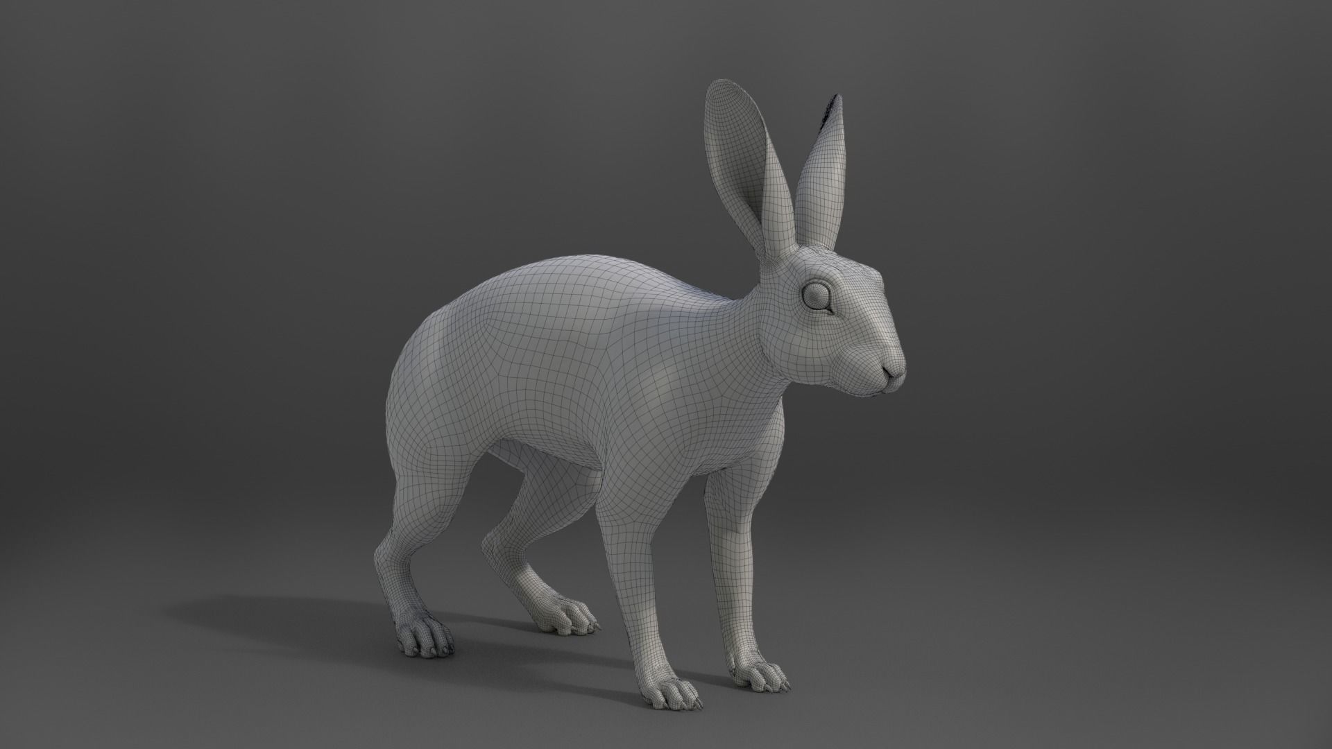 White rabbit Animated VFX Grace 3D model animated rigged | CGTrader