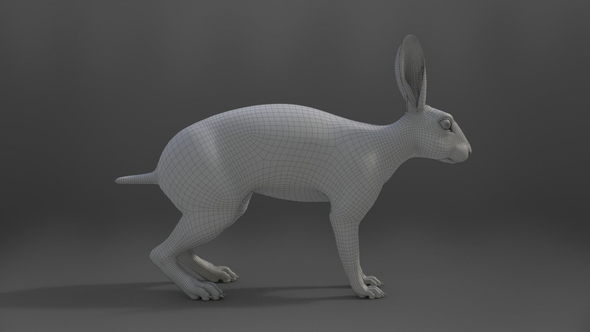 White rabbit Animated VFX Grace 3D model animated rigged | CGTrader