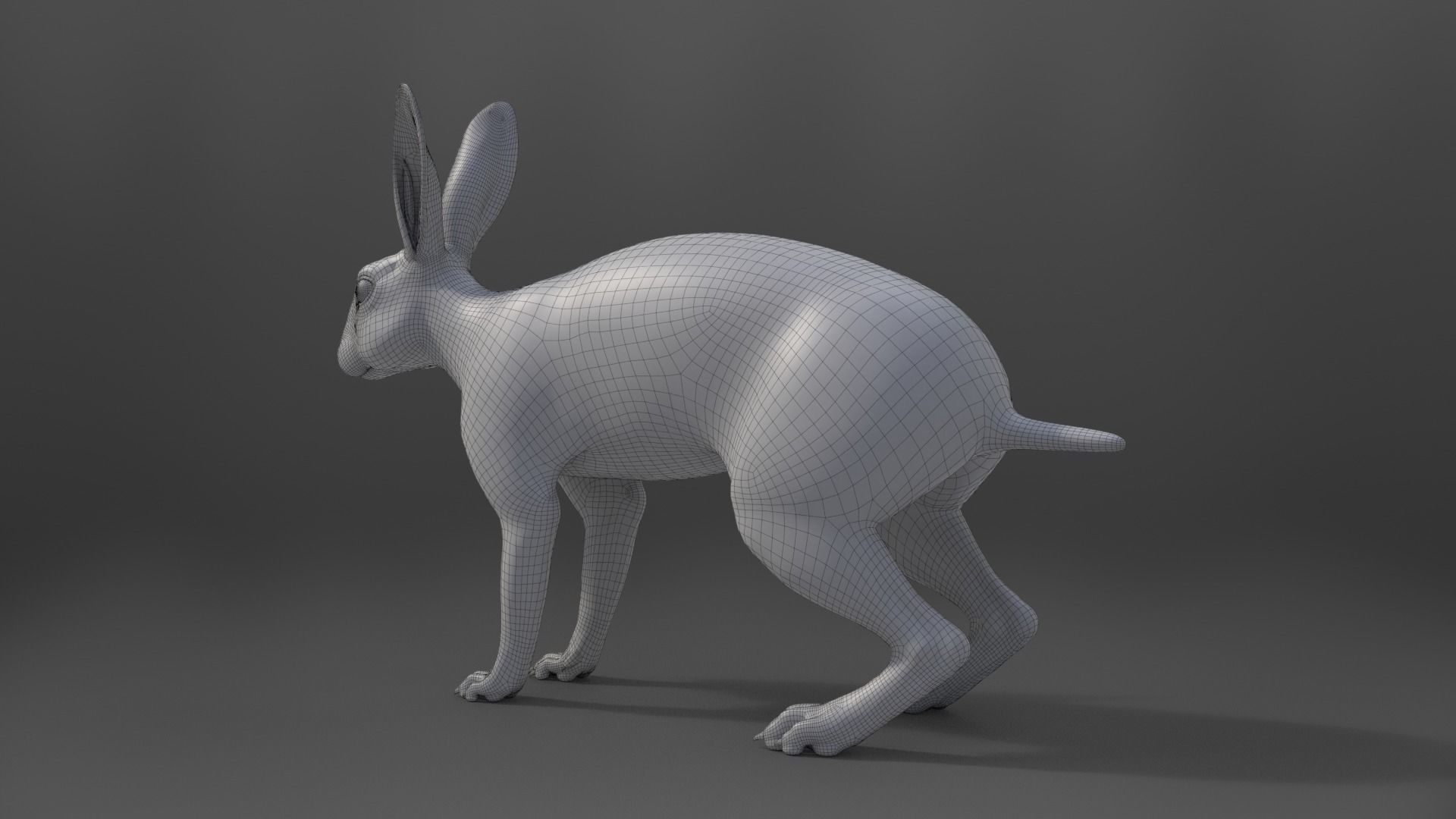 White rabbit Animated VFX Grace 3D model animated rigged | CGTrader