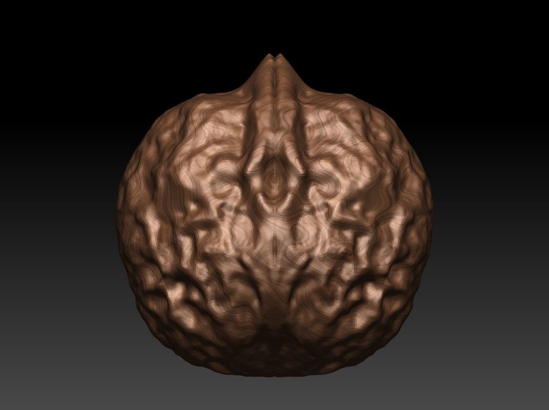 Walnut round carving STL download walnut 3D map download 3D model 3D ...