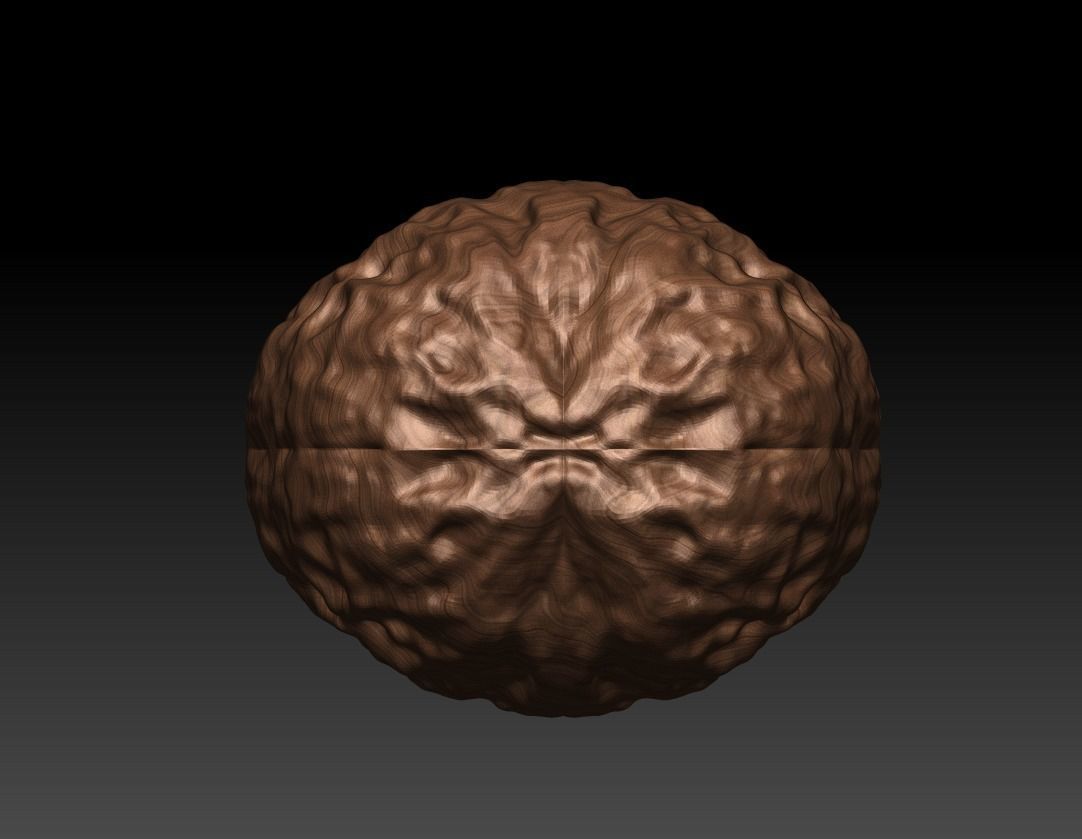 Walnut round carving STL download walnut 3D map download 3D model 3D ...