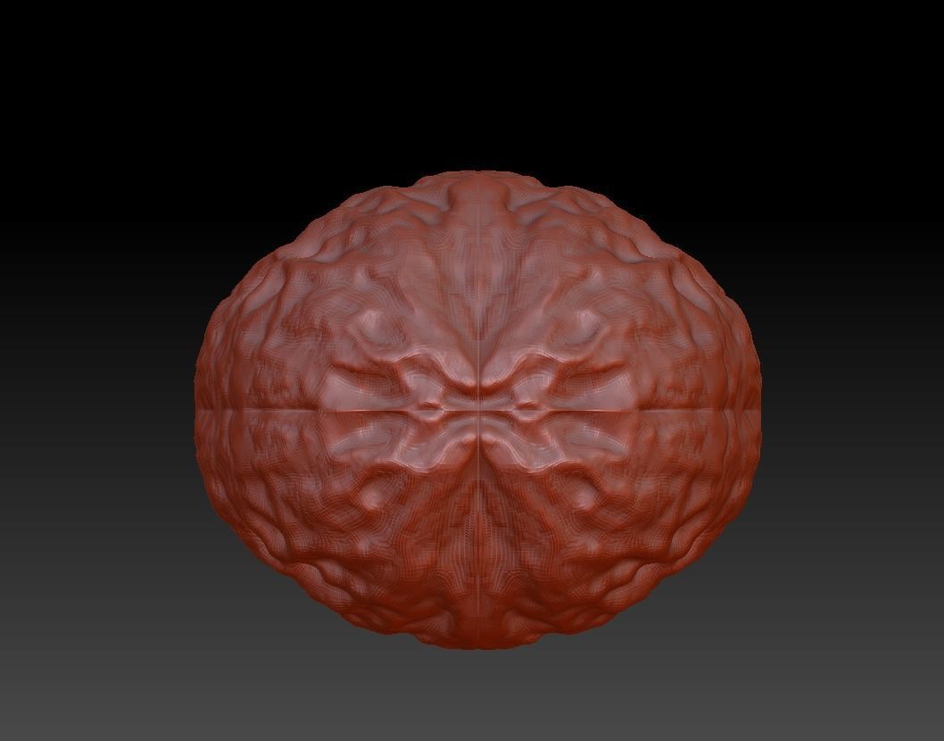Walnut round carving STL download walnut 3D map download 3D model 3D ...