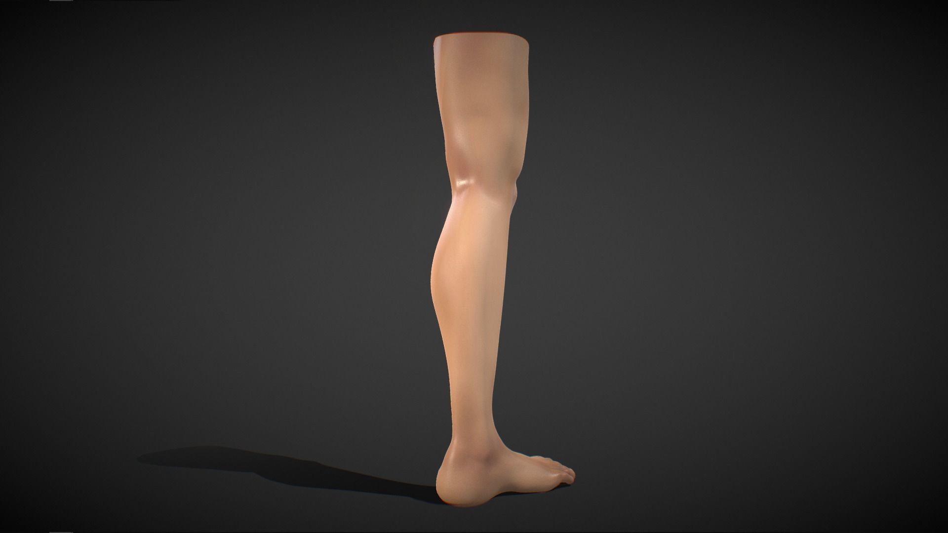 Fit Male Anatomy - Leg and Foot base mesh 3D model | CGTrader