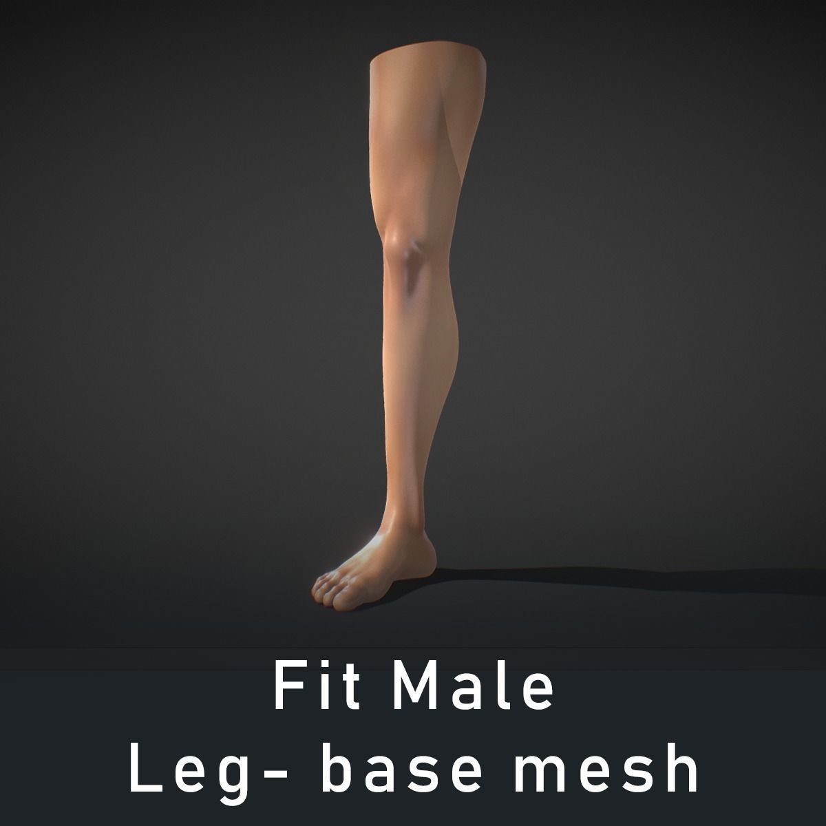 Fit Male Anatomy - Leg and Foot base mesh 3D model | CGTrader