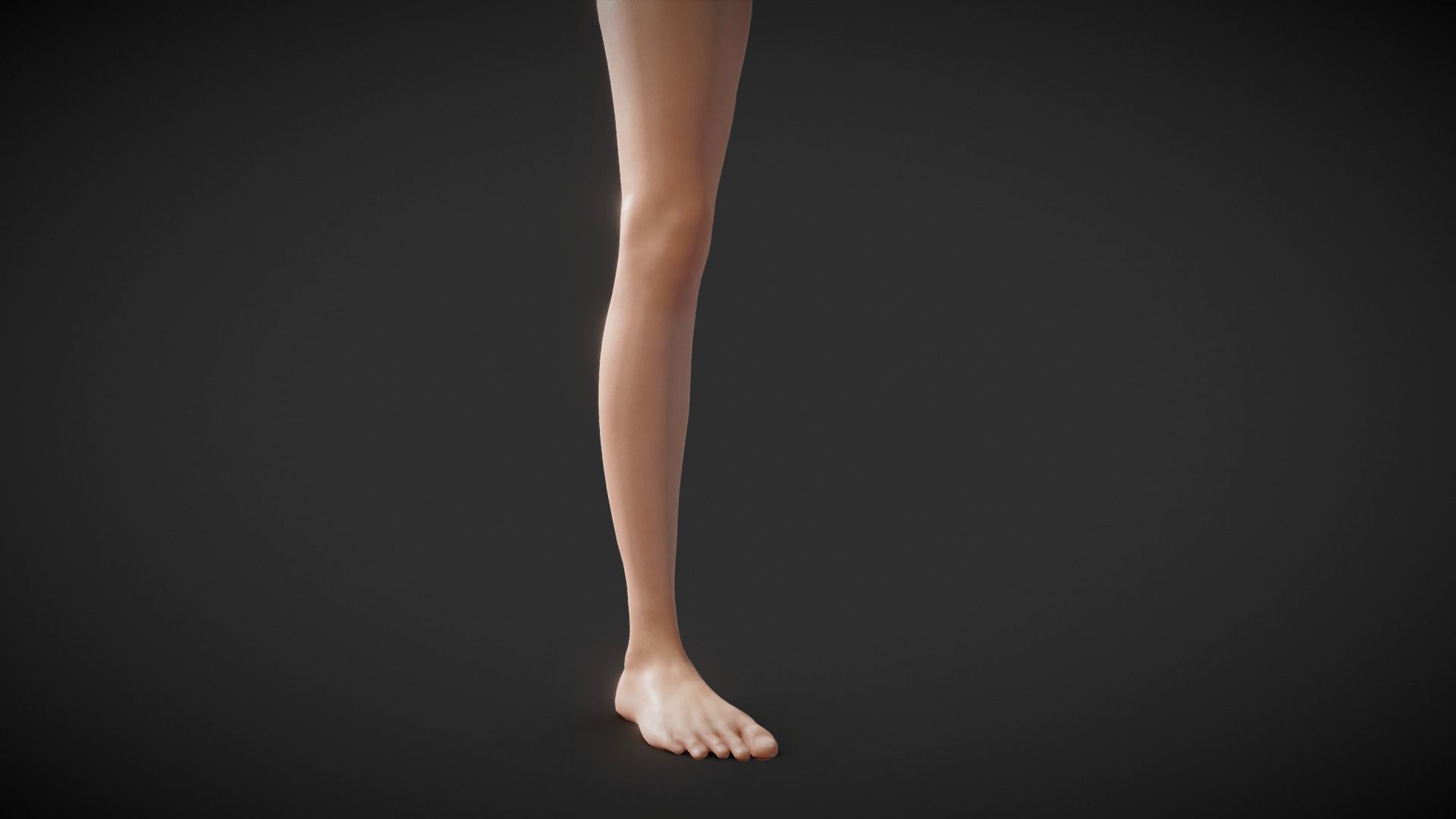 Fit Female Anatomy - Leg and Foot base mesh 3D model | CGTrader