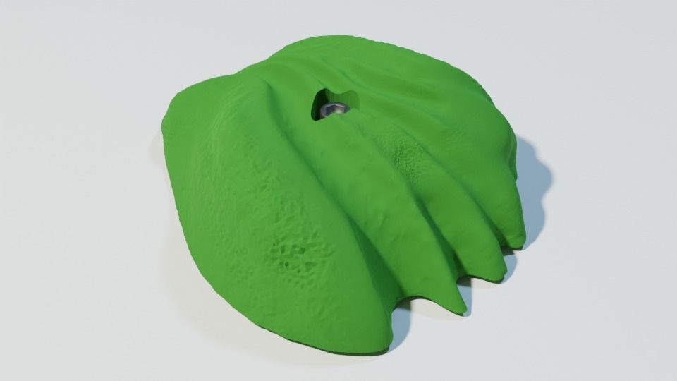 Rock Climbing Holds - Full Size - Dragon Skin 3D model | CGTrader