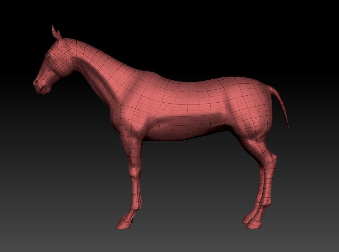 Horse animal mammal highpoly zebra metaverse biology wild 3D model ...