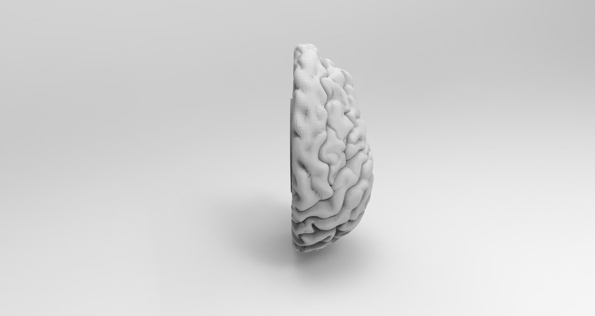 Human brain 3D model 3D printable | CGTrader