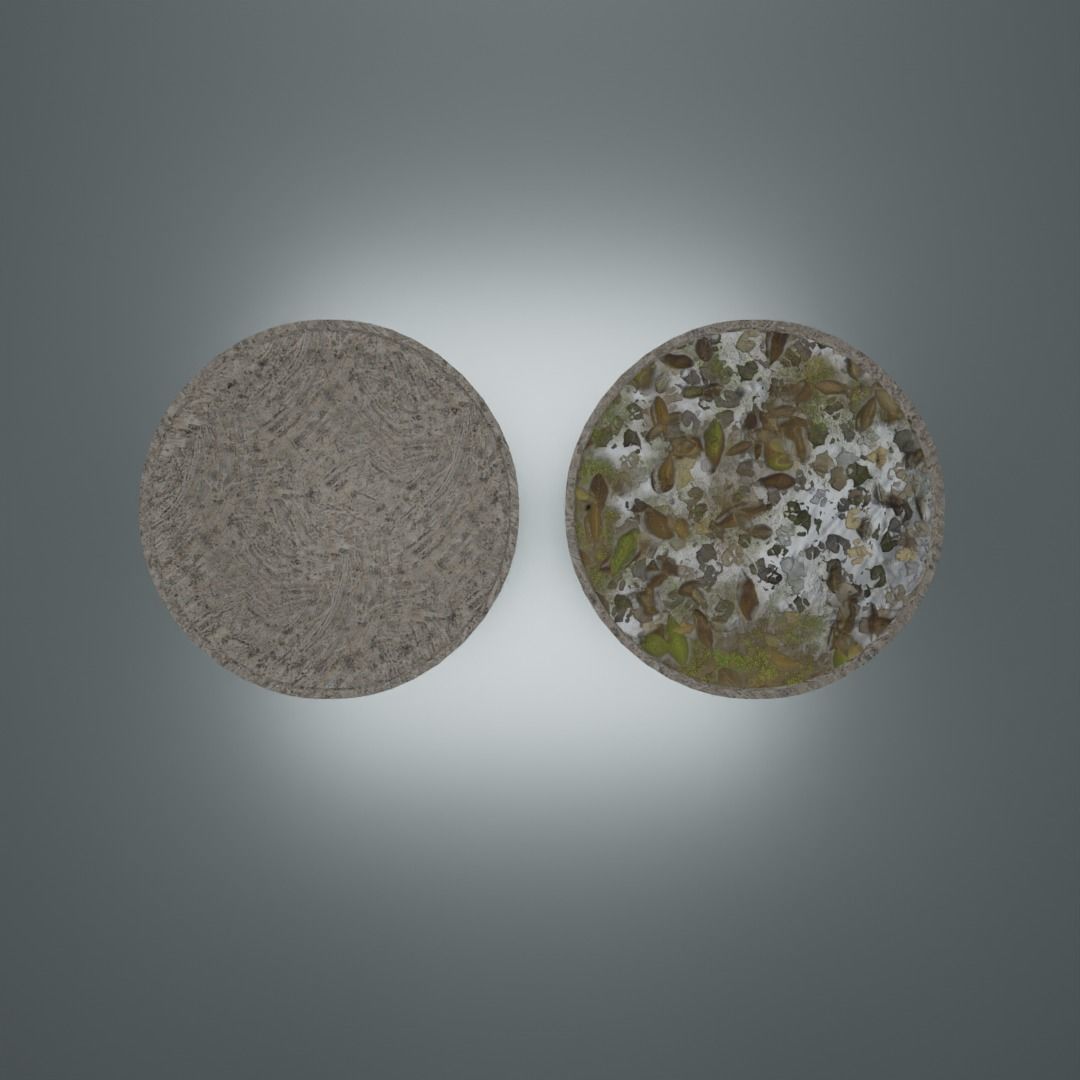 3D model Bird bath 2 variants VR / AR / low-poly | CGTrader