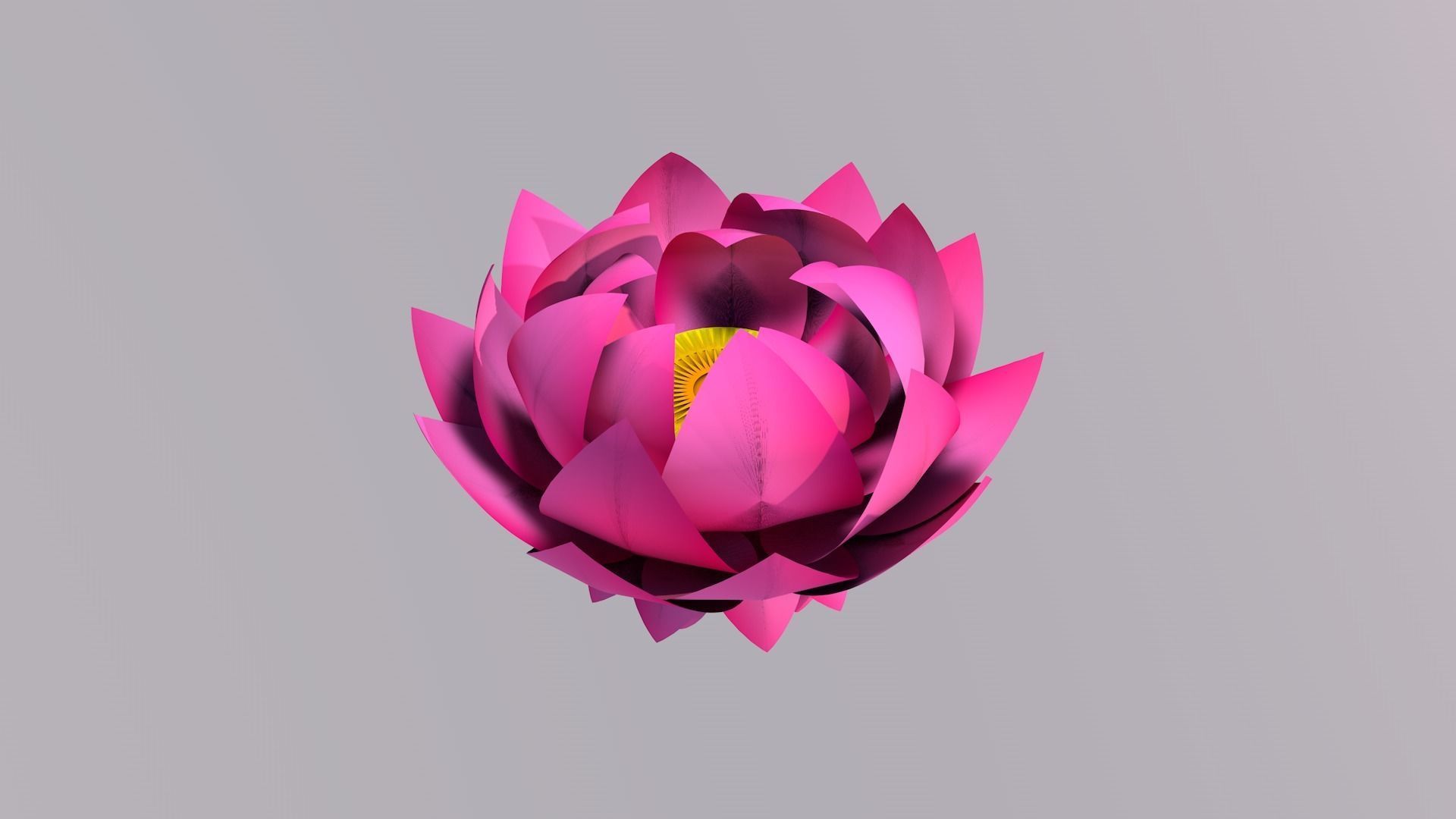Lotus Flower 3D Model 3D model animated | CGTrader