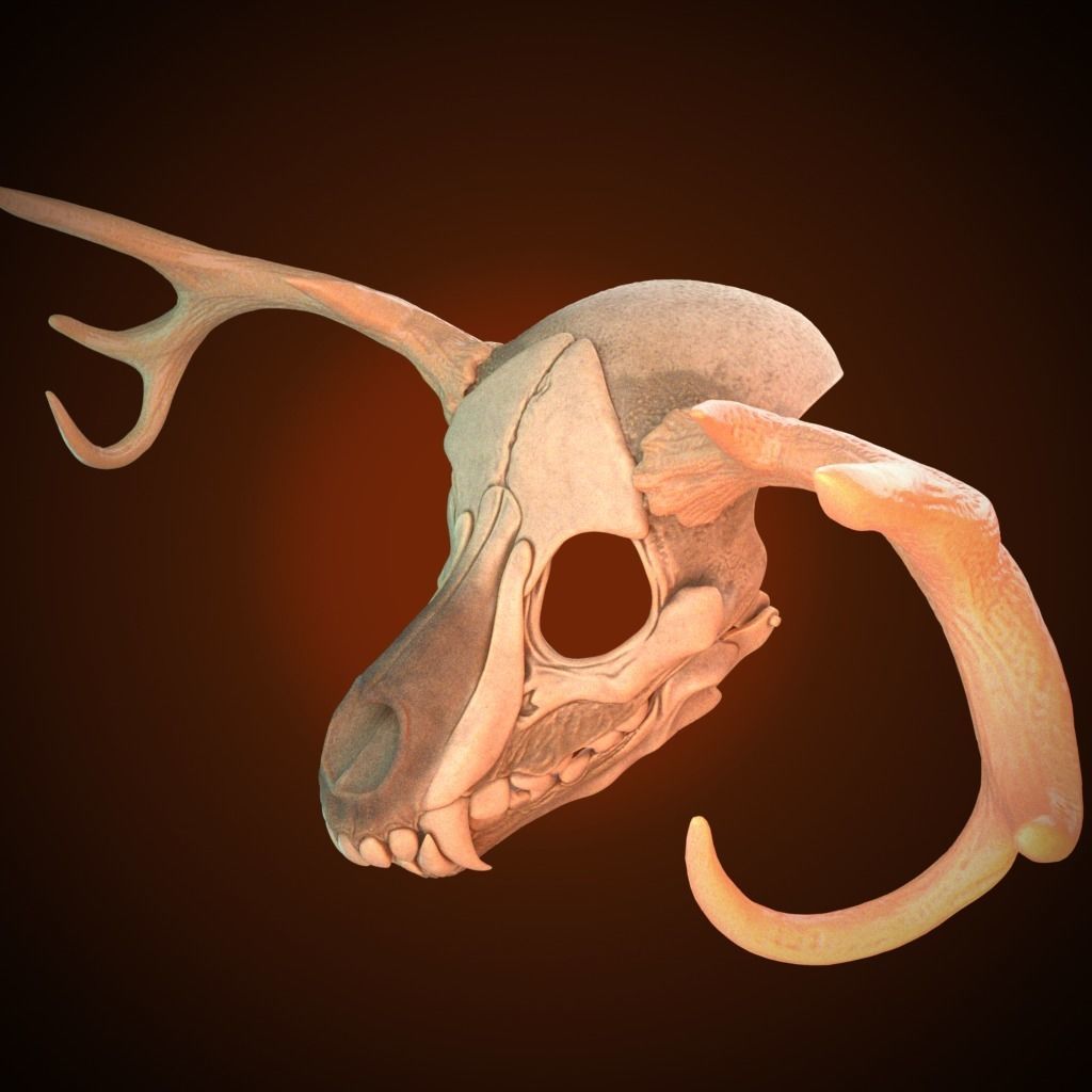 Vendigo Skull scary horror mask 3d model stl Halloween 3D model 3D ...