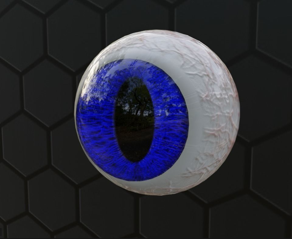 Customizable Human Eye 3D model rigged | CGTrader