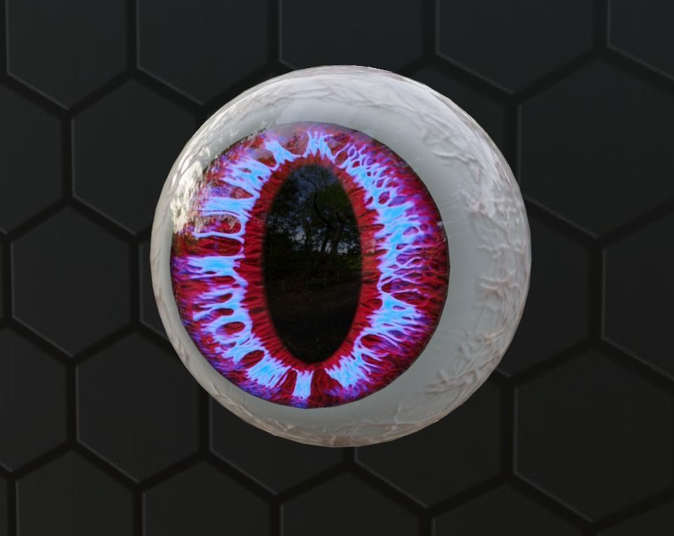 Customizable Human Eye 3D model rigged | CGTrader