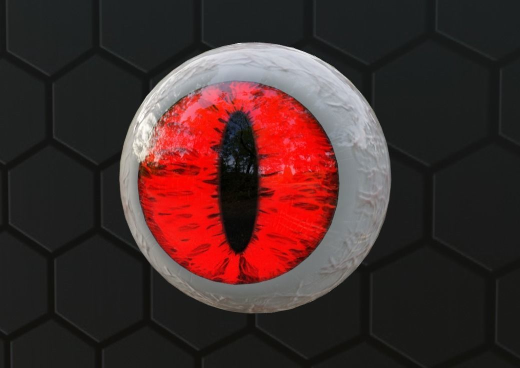 Customizable Human Eye 3D model rigged | CGTrader