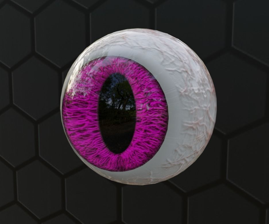 Customizable Human Eye 3D model rigged | CGTrader