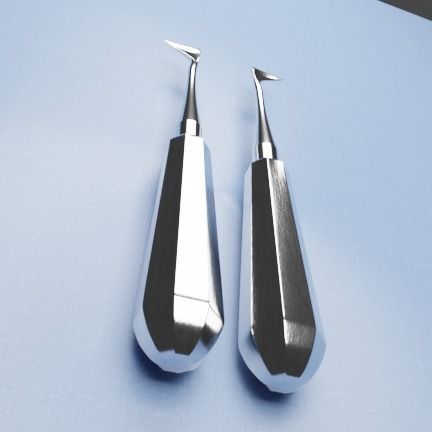 Seldin Elevator 1L and 1R - Oral surgery equipment 3D model | CGTrader