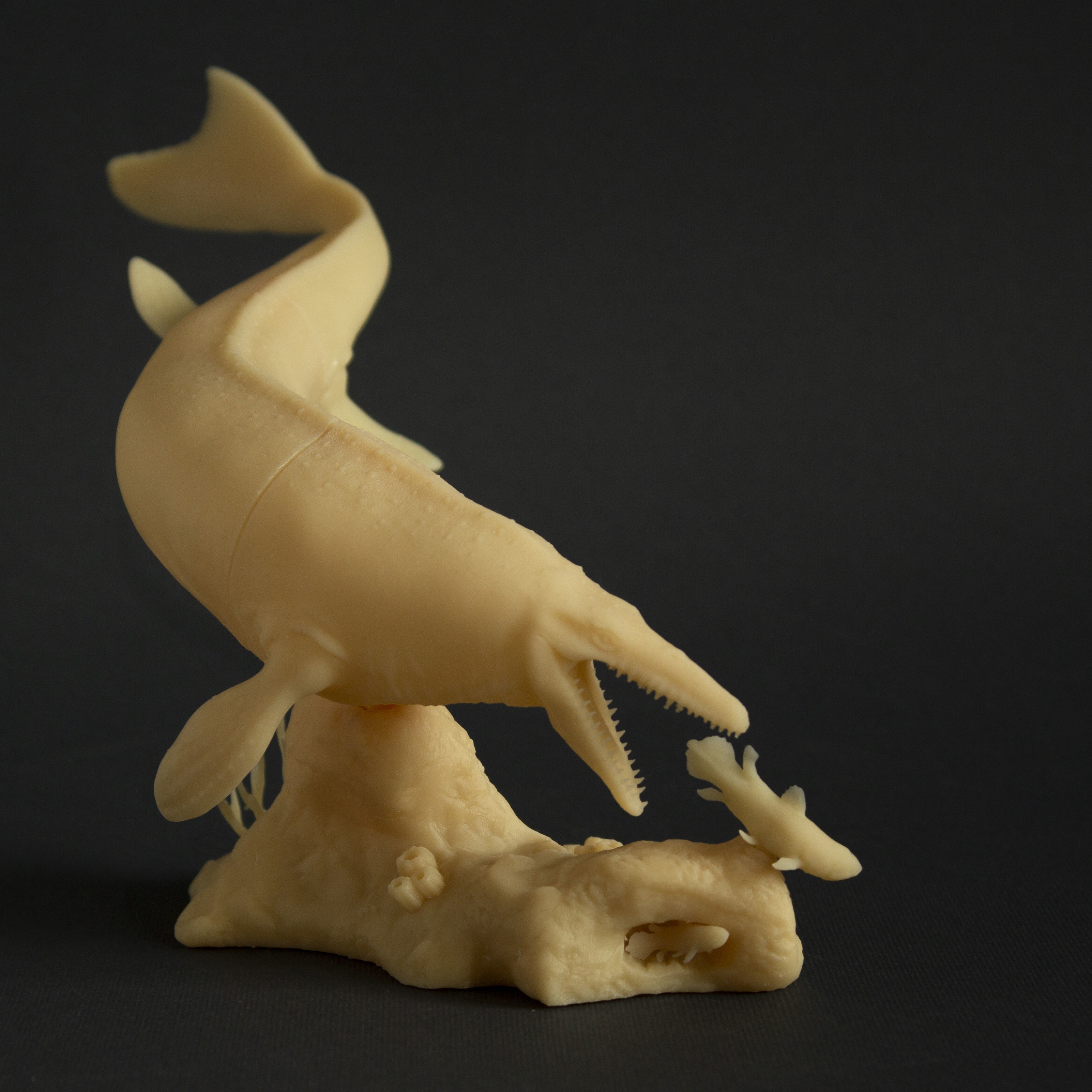 Mosasaur hunting Coelacanth 3D model 3D printable | CGTrader