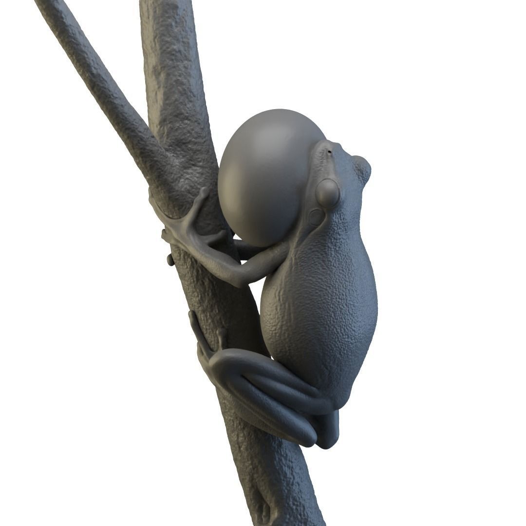 American green tree frog 3D model 3D printable | CGTrader