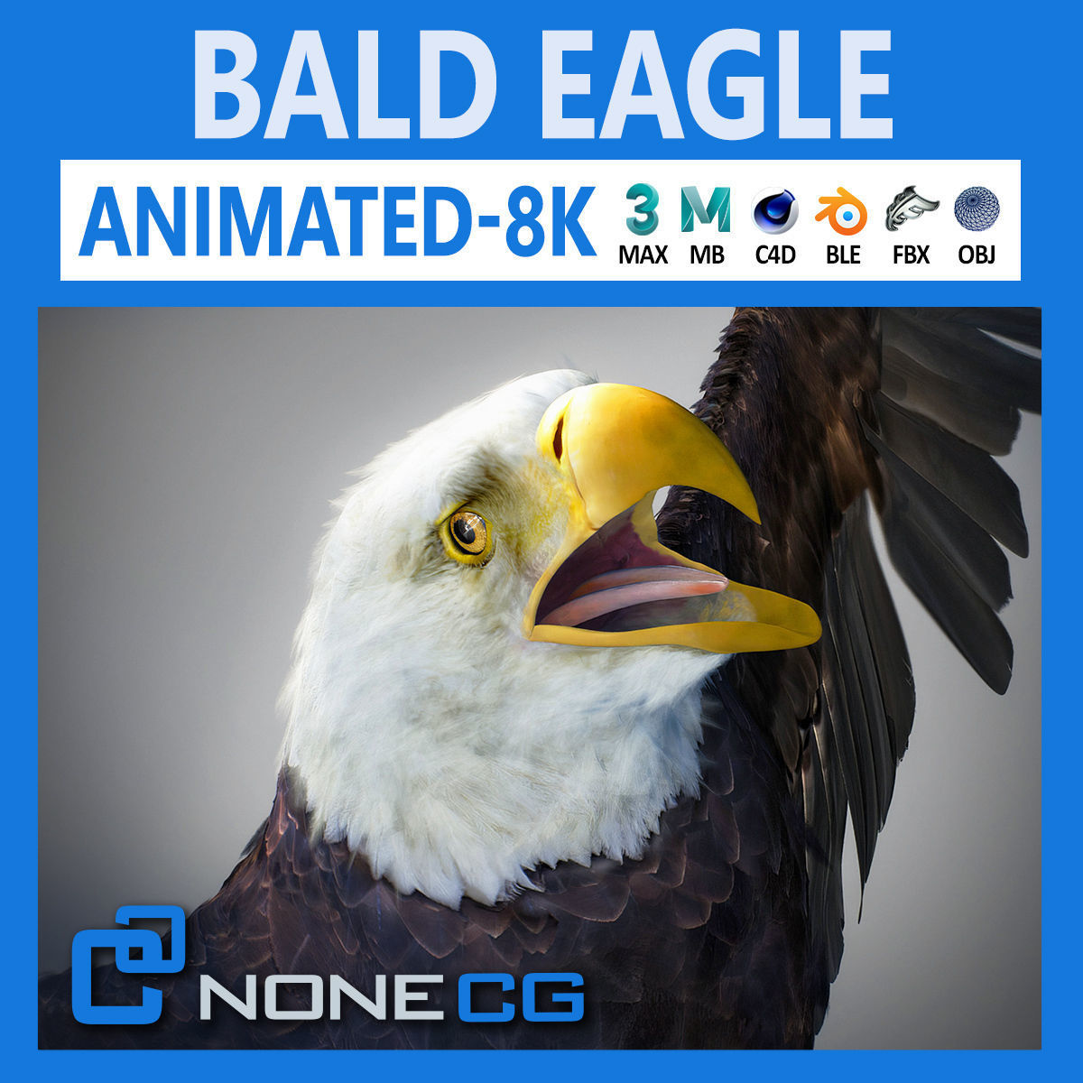 Animated Bald Eagle 3D model animated rigged | CGTrader