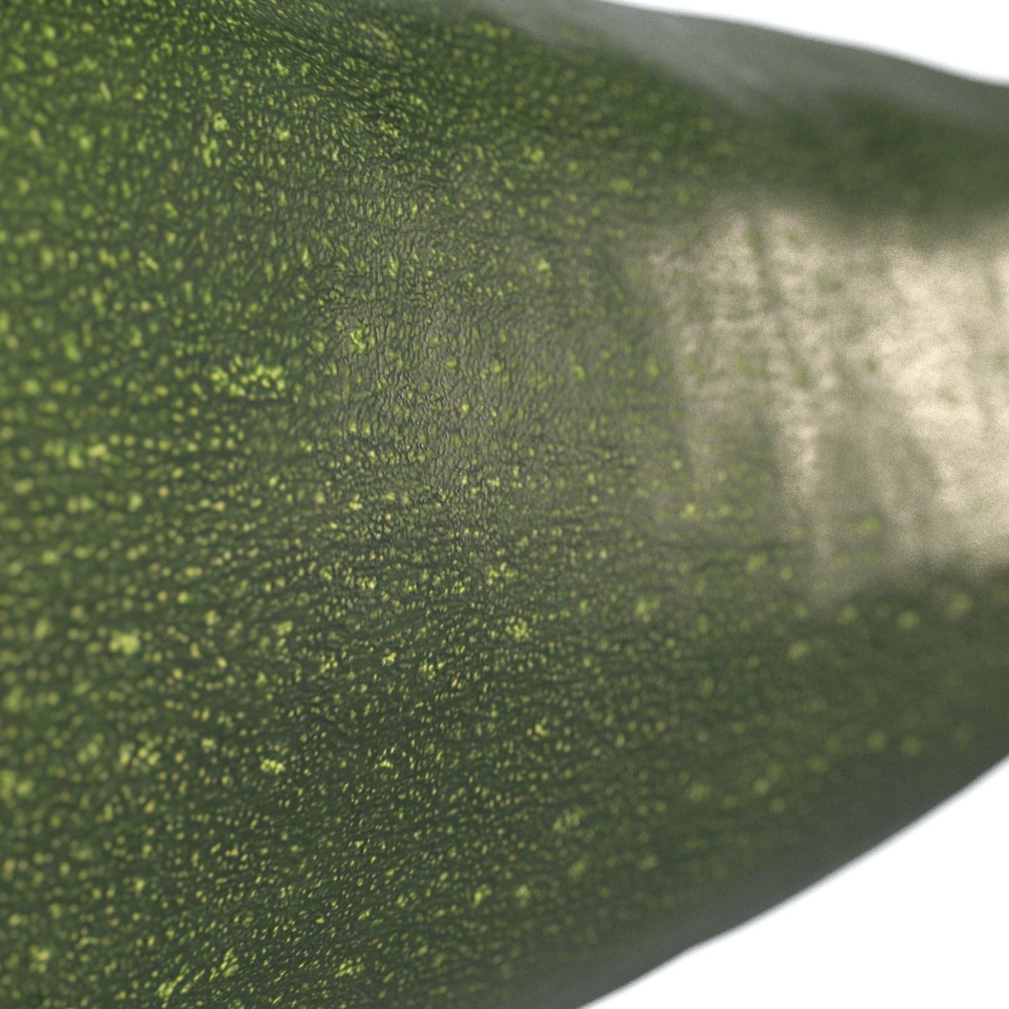 Green Zucchini 4k scanned 3D model | CGTrader