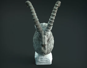 Ibex 3D Print Models | CGTrader