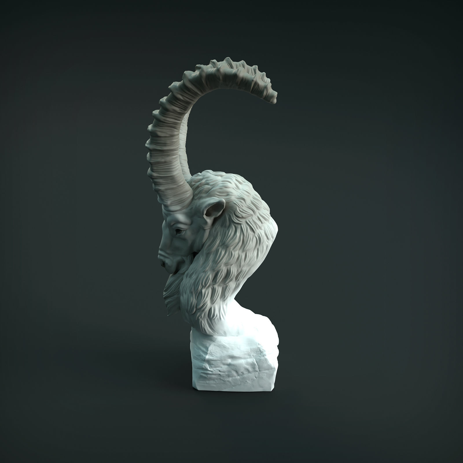 Siberian Ibex Bust for 3D Printing 3D model 3D printable | CGTrader