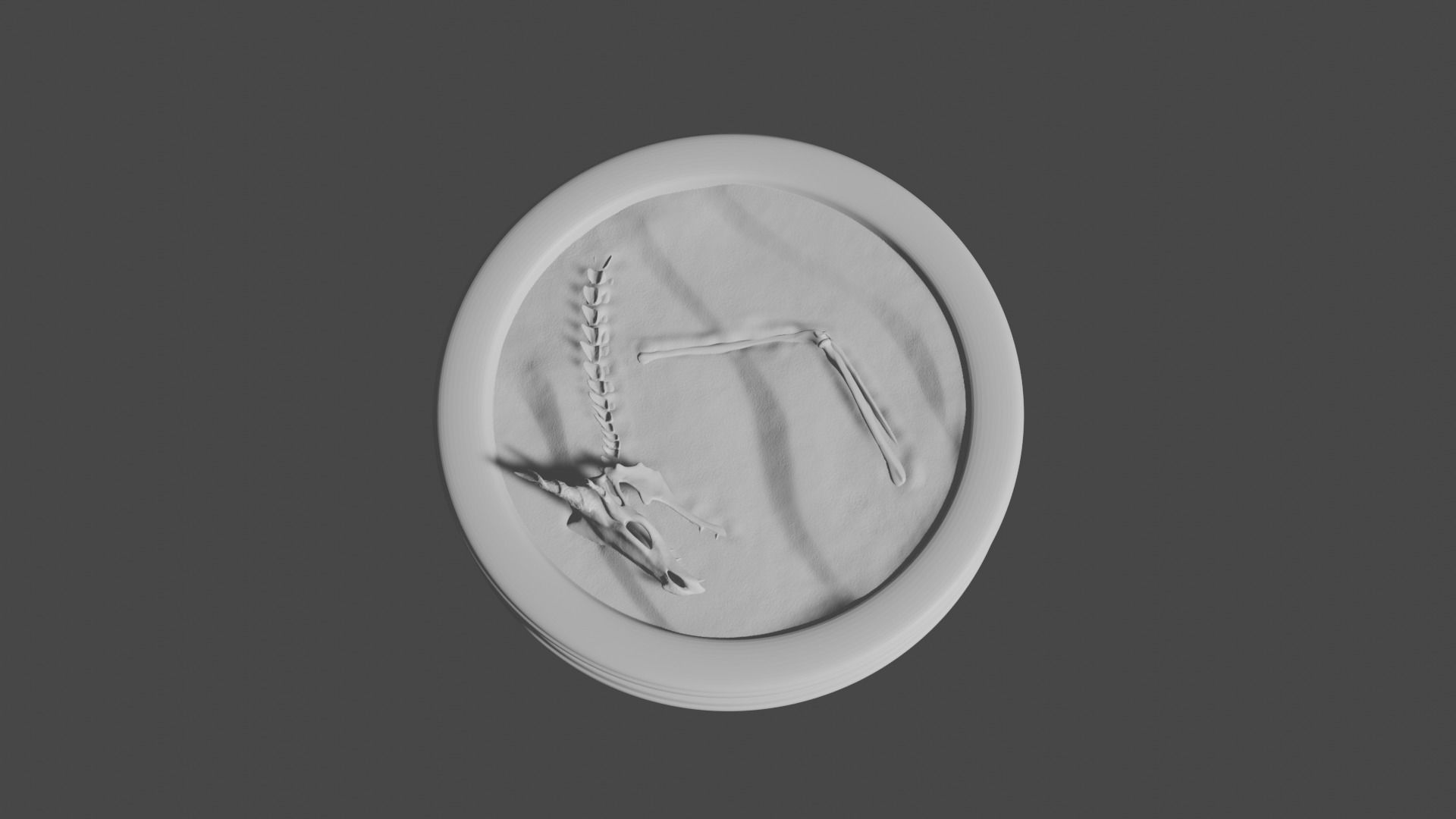 DISPLAY BASE SET 3D model | CGTrader