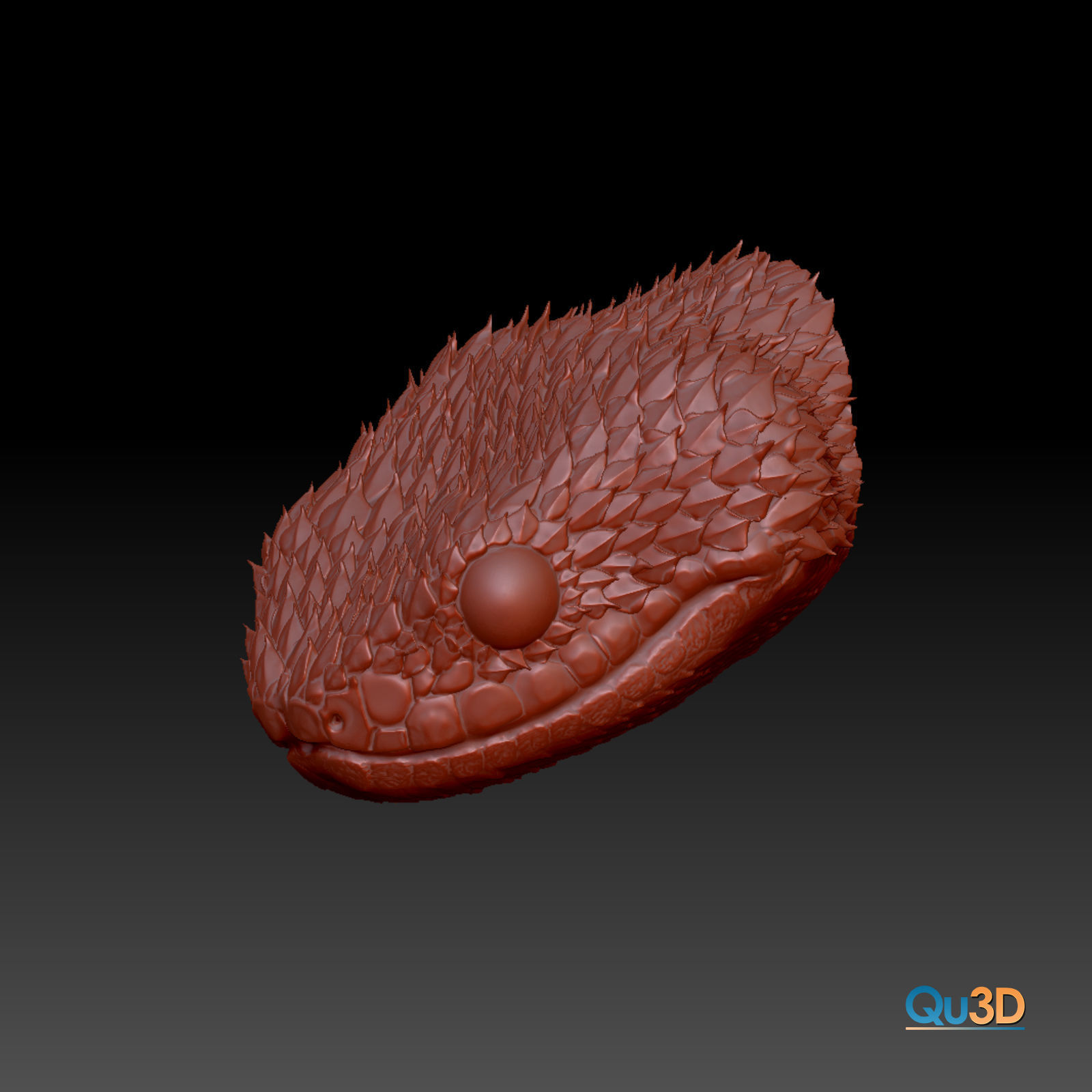 Atheris-bush viper-High-end 3D print model highpoly V2 3D model 3D ...