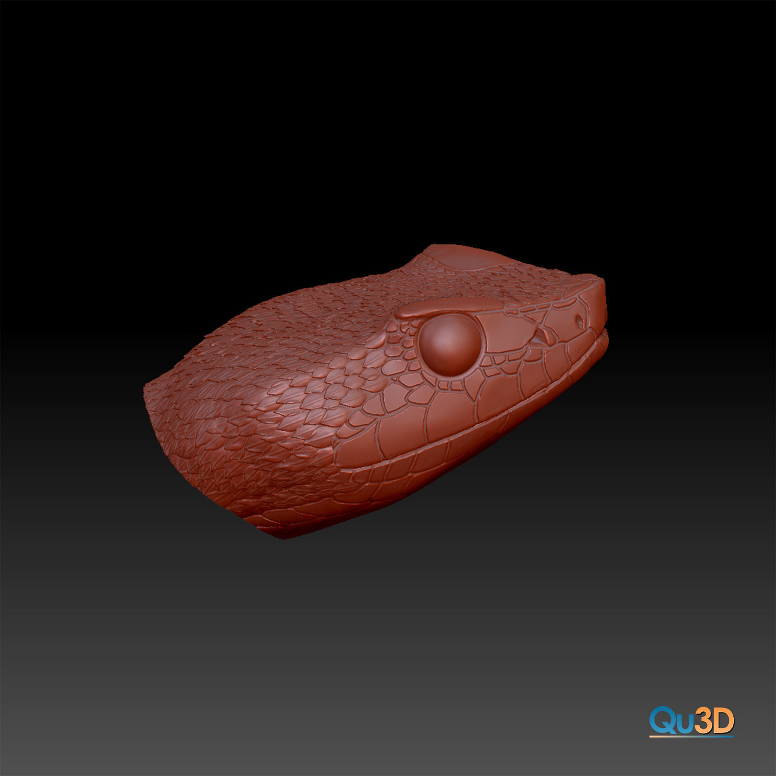 Bothrops-asper-High-end 3D print model High-polygon snake head 3D model ...