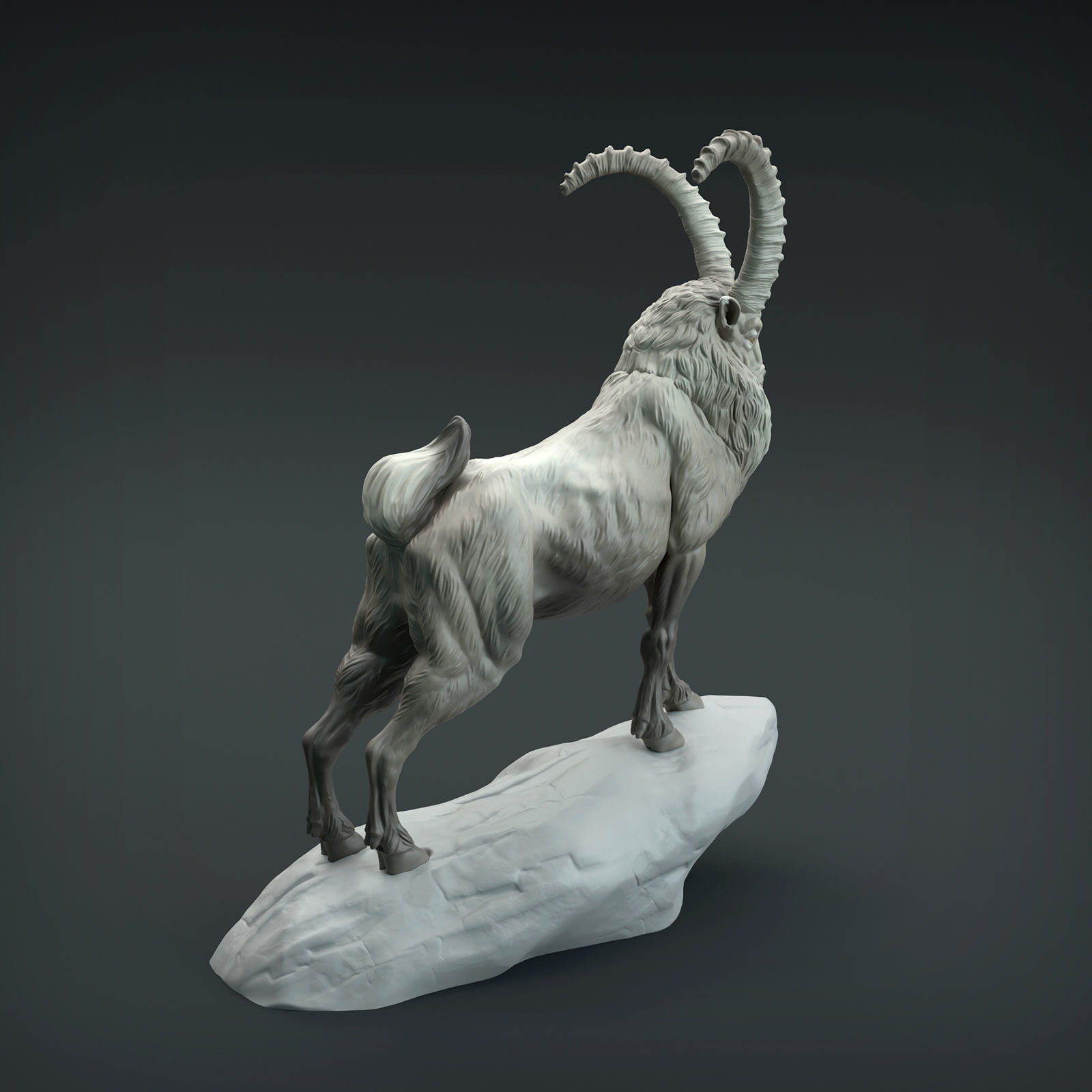 Siberian Ibex for 3D Printing 3D model 3D printable | CGTrader