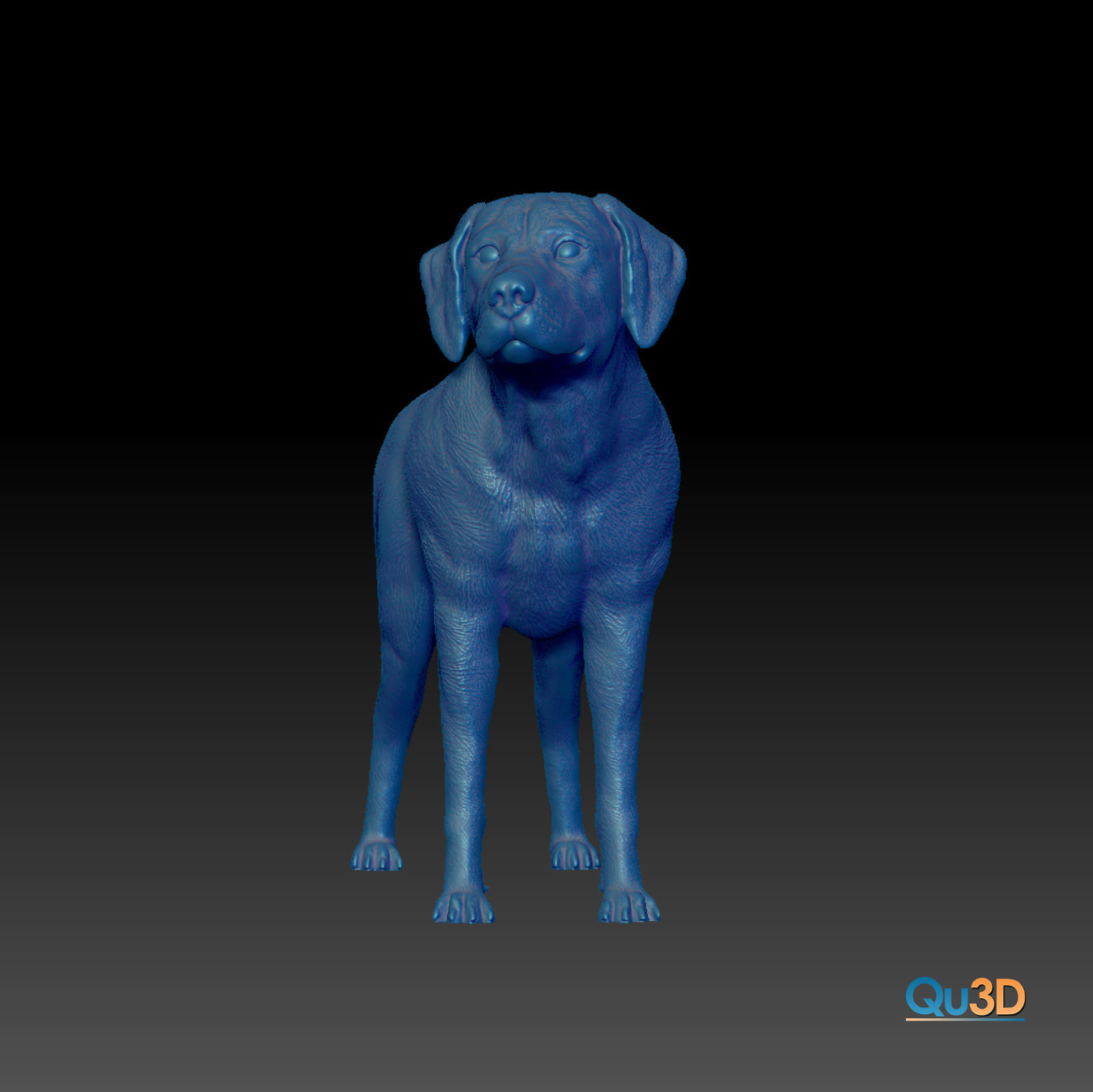 Rhodesian Ridgeback- full body-High-end 3D print model highpoly 3D ...
