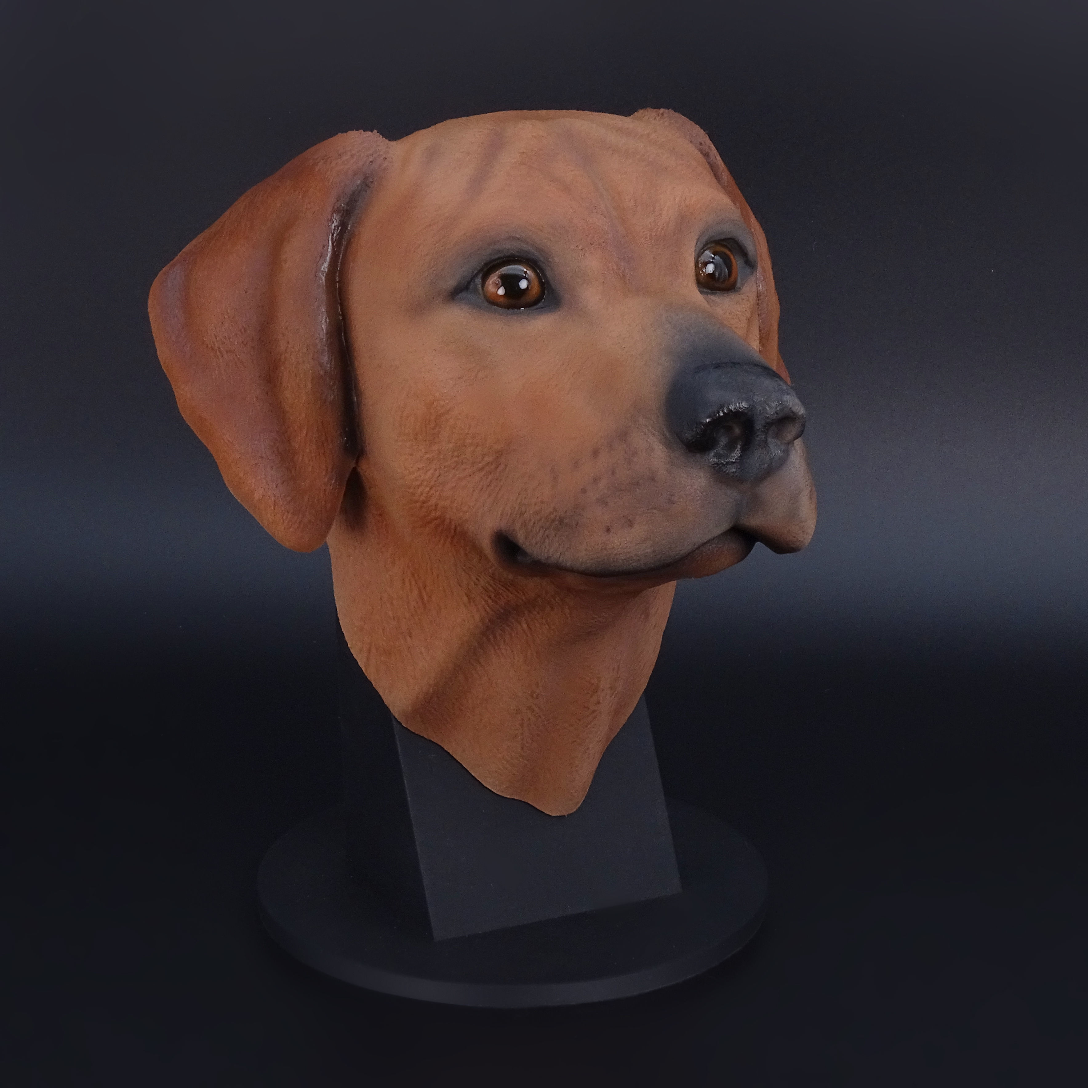 Rhodesian-Ridgeback- Head- High-end 3D print- High Poly Model 3D model ...