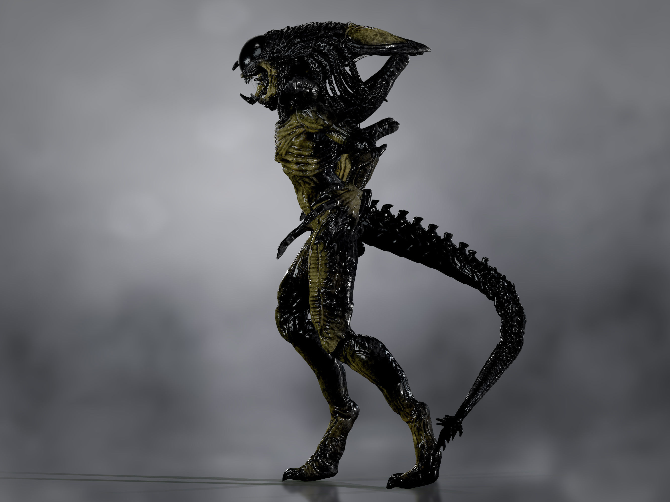3D model Predalien VR / AR / low-poly rigged | CGTrader