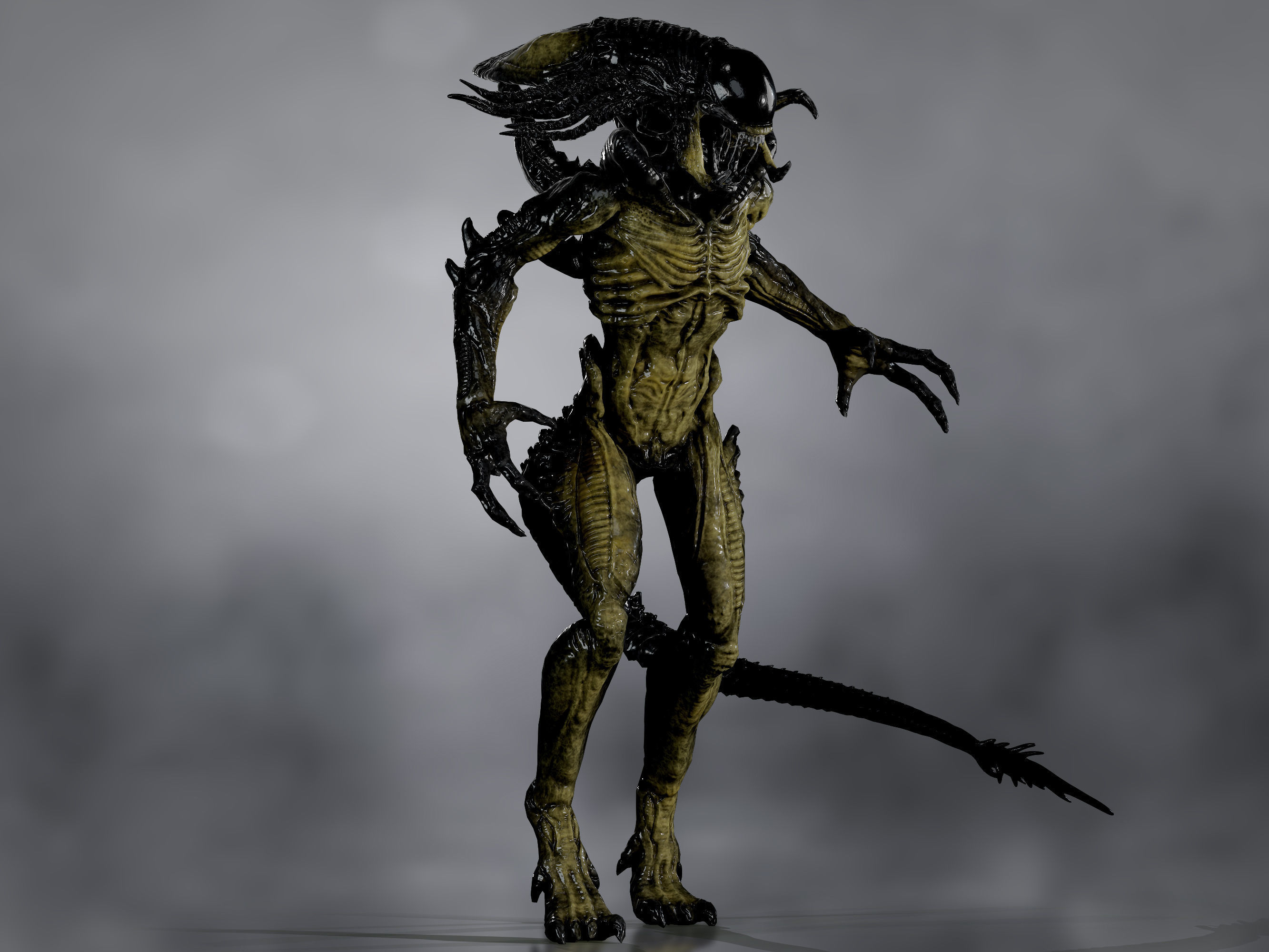 3D model Predalien VR / AR / low-poly rigged | CGTrader